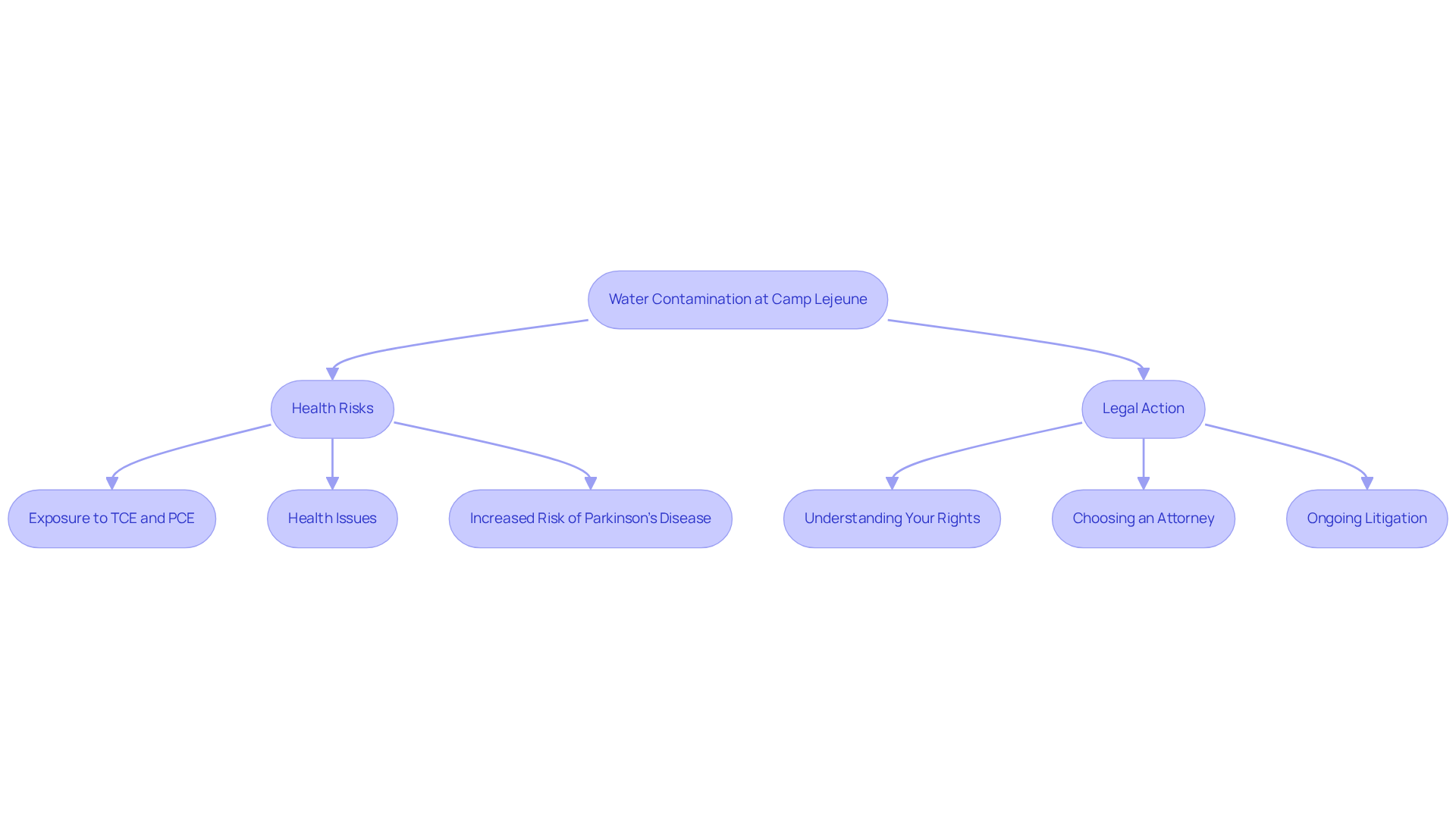 This flowchart outlines the key aspects of the Camp Lejeune water contamination issue. Start with the contamination, then follow the arrows to see the health risks and the steps you can take for legal action. Each box represents a critical point in understanding your situation and options.
