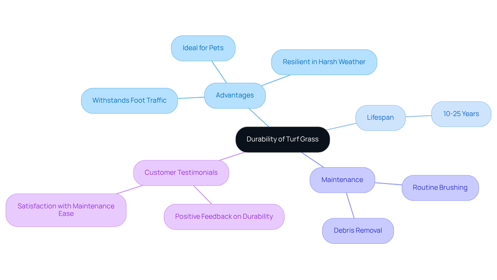 The central node represents the main topic of turf grass durability. Each branch highlights important aspects, making it easy to understand the benefits and features of artificial grass compared to natural options.