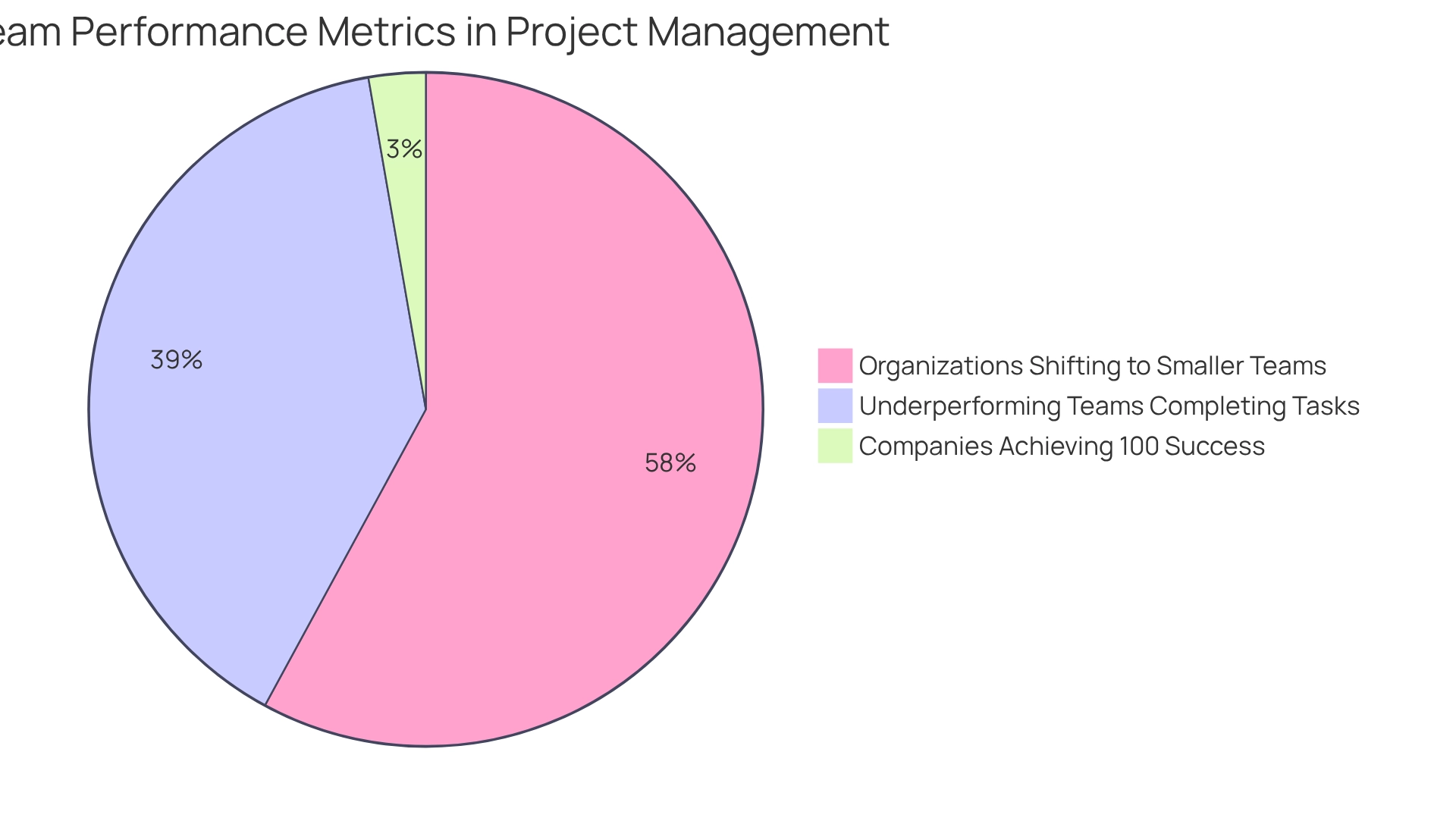 Each slice of the pie represents a different aspect of team performance — the larger the slice, the more significant the percentage it reflects in terms of organizations adapting or achieving success.