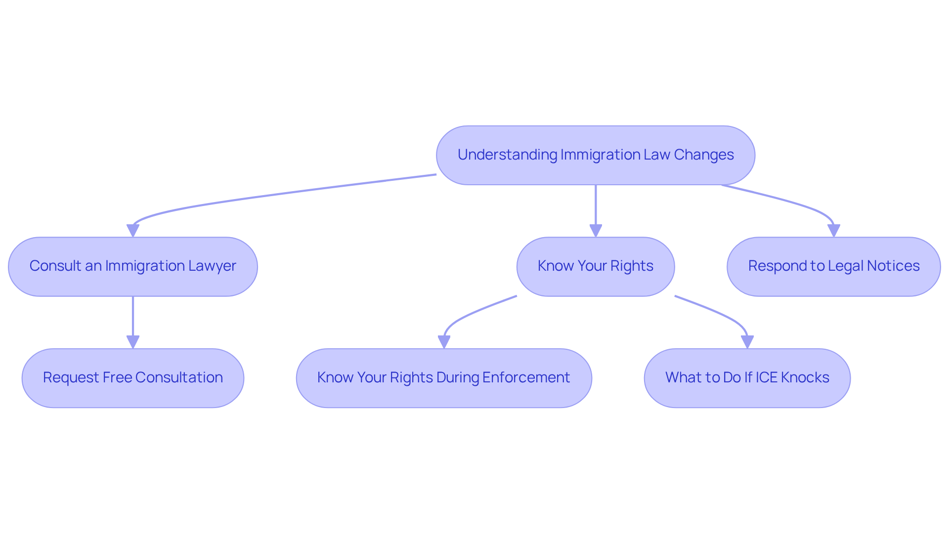 Follow the arrows to see the sequence of actions to take when dealing with immigration law changes and enforcement situations. Each step guides you through understanding your rights and making informed decisions.