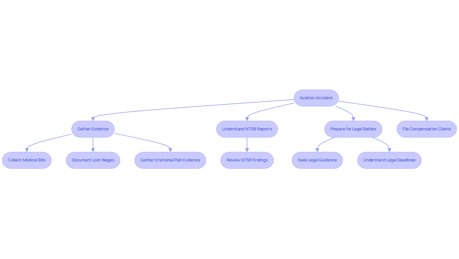 This flowchart shows the journey families take after an aviation accident. Each box represents a step they need to follow, helping them understand what to do next in their quest for justice.