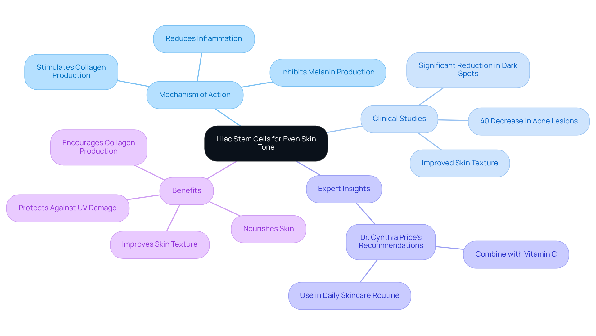 The central node represents the main topic of lilac stem cells. Each branch shows a different aspect of how they help achieve an even skin tone, making it easy to see the connections between the benefits and the science behind them. The central node represents the main topic of lilac stem cells. Each branch shows a different aspect of how they help achieve an even skin tone, making it easy to see the connections between the benefits and the science behind them.