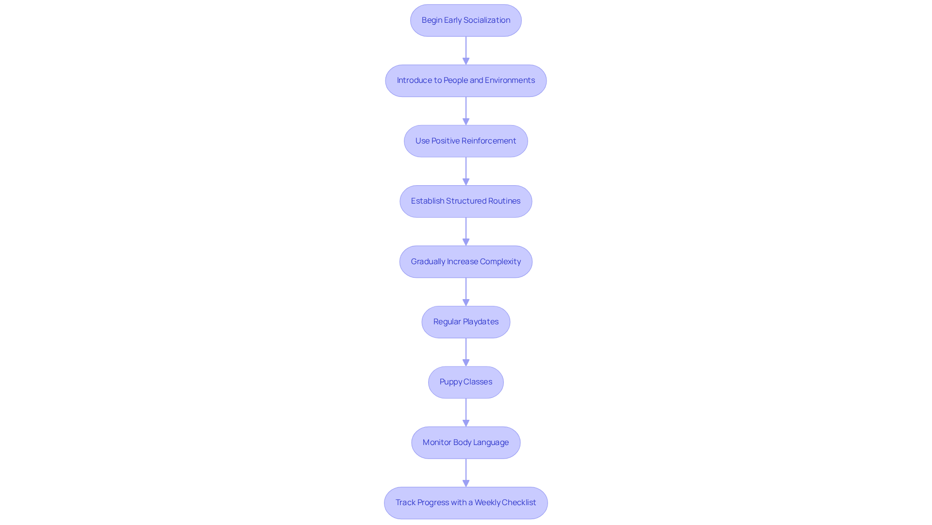 Follow the arrows to see how to socialize your Cane Corso Brindle step by step. Each box represents a key strategy, and the flow shows how to build on previous steps for a well-adjusted dog.