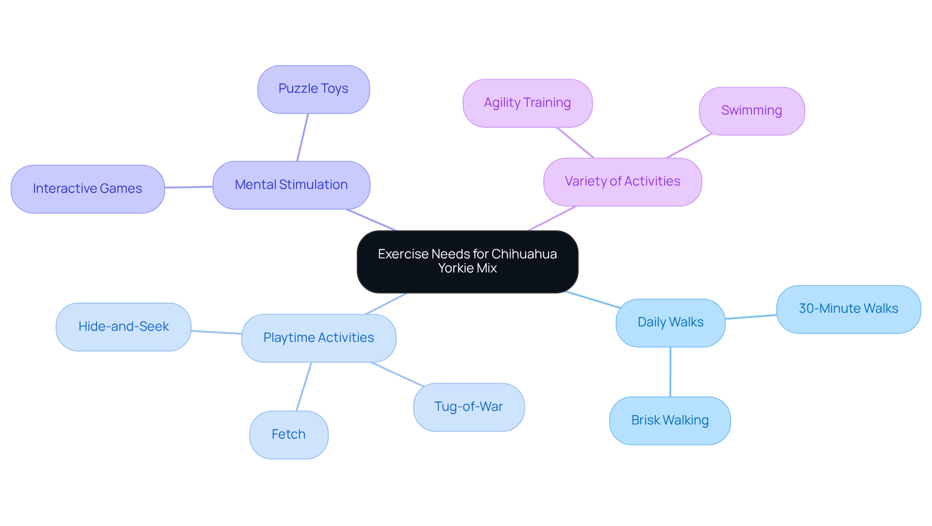 The center represents the overall exercise needs, and the branches show different activities that contribute to keeping your dog happy and healthy. Each color-coded branch highlights various types of exercises and their benefits.