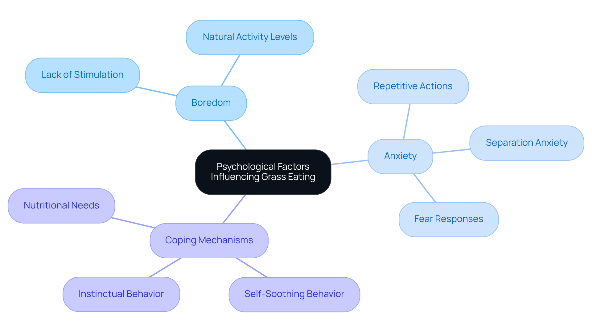 The center node represents the main theme, while each branch explores specific psychological factors that lead to the behavior. Follow the branches to see how different emotions can influence your dog's actions. The center node represents the main theme, while each branch explores specific psychological factors that lead to the behavior. Follow the branches to see how different emotions can influence your dog's actions.