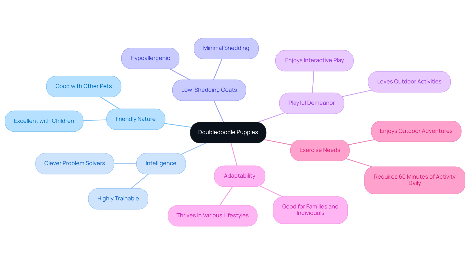 The central node represents Doubledoodle puppies, and each branch highlights a key trait. Sub-branches provide more details, helping you understand what makes these dogs special and why they are great companions.