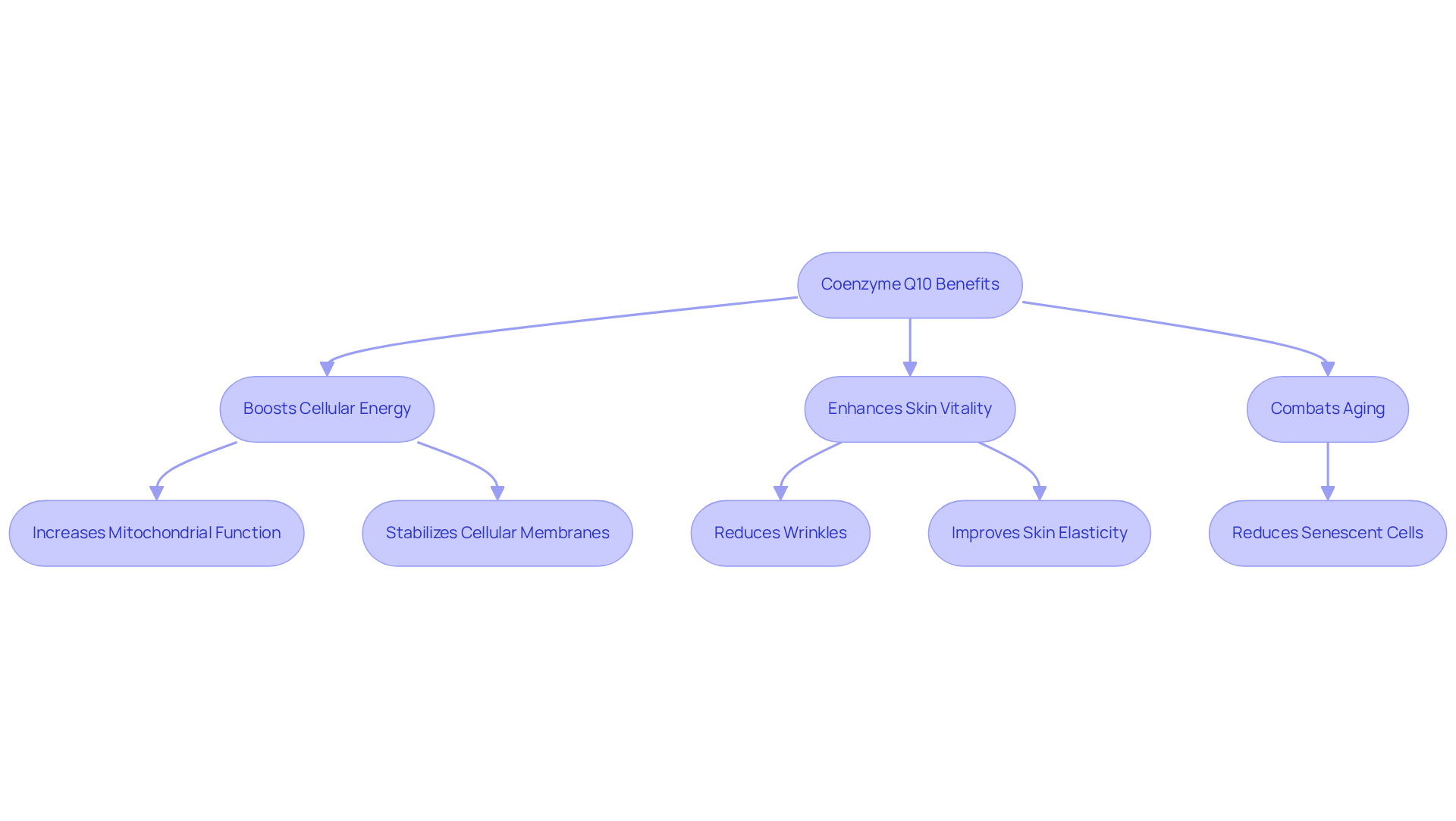 This flowchart illustrates how Coenzyme Q10 contributes to energy and skin health. Follow the arrows to see how it boosts energy, enhances skin vitality, and combats aging, with specific effects listed under each benefit. This flowchart illustrates how Coenzyme Q10 contributes to energy and skin health. Follow the arrows to see how it boosts energy, enhances skin vitality, and combats aging, with specific effects listed under each benefit.