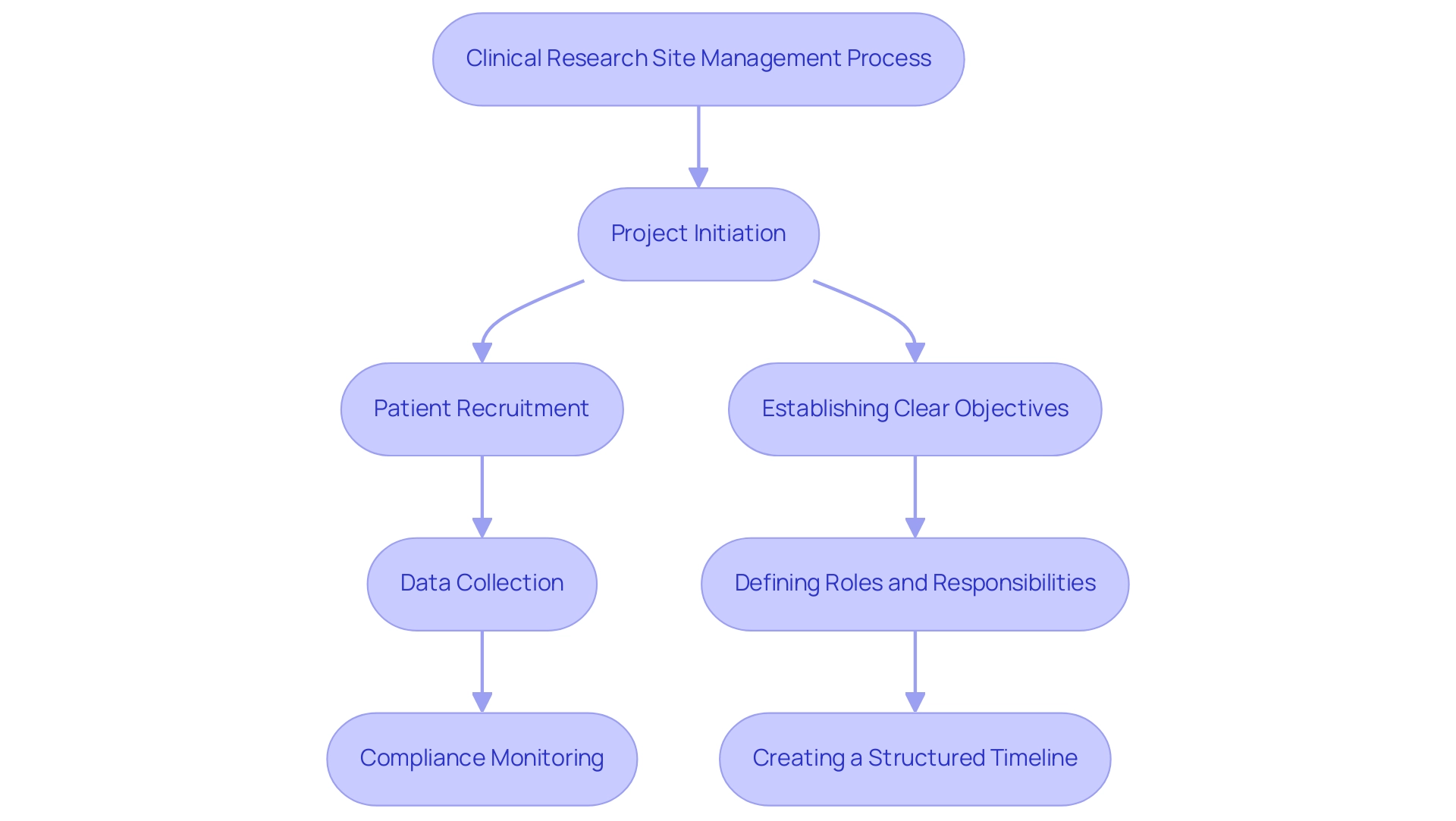 Each box represents an activity or principle in the management process, with arrows indicating the flow and relationships between them. Colors differentiate activities from guiding principles.