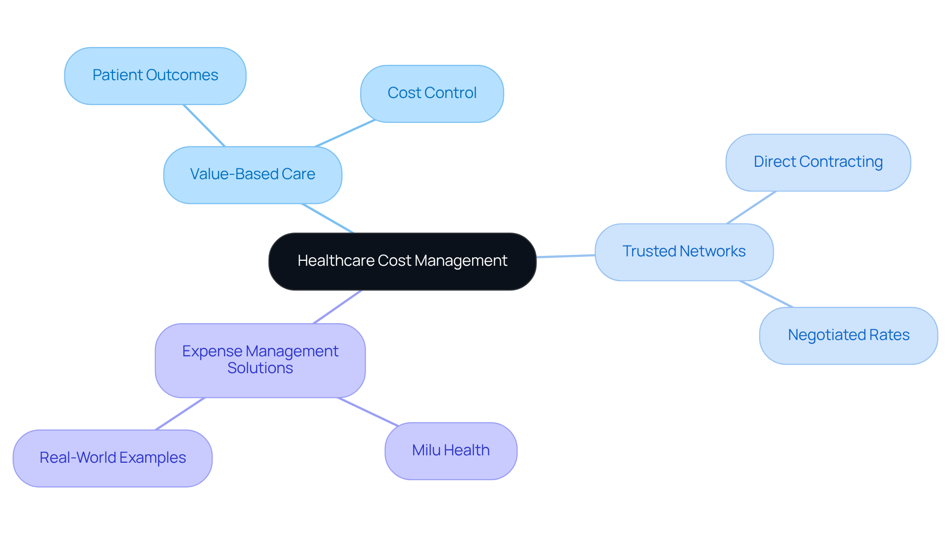 The central node represents the main topic, while branches show different strategies for managing healthcare costs. Each sub-branch highlights specific aspects or examples related to that strategy.