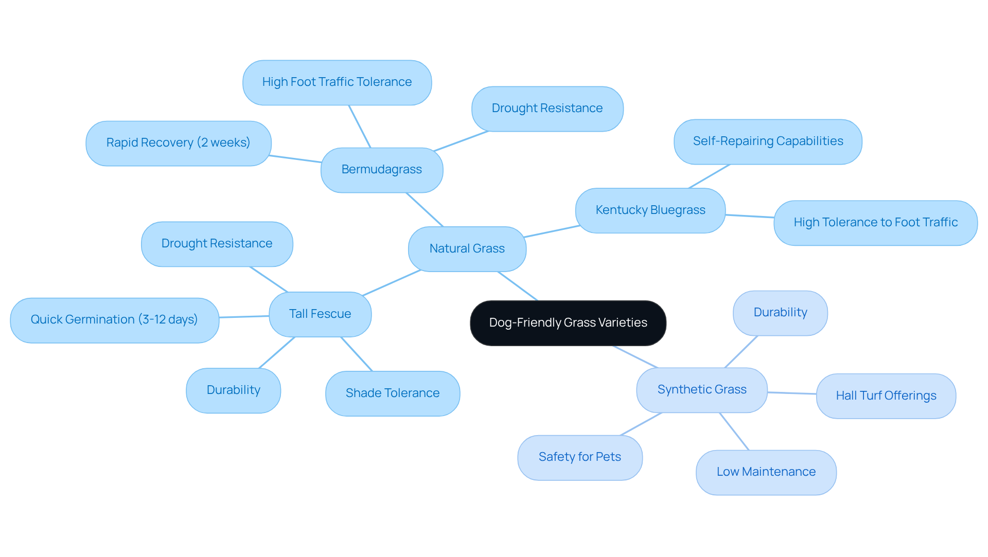 This mindmap starts with the main topic of dog-friendly grass options. Each branch represents a type of grass or solution, showing how they relate to creating a safe and durable lawn for dogs. Follow the branches to explore the benefits of each option!