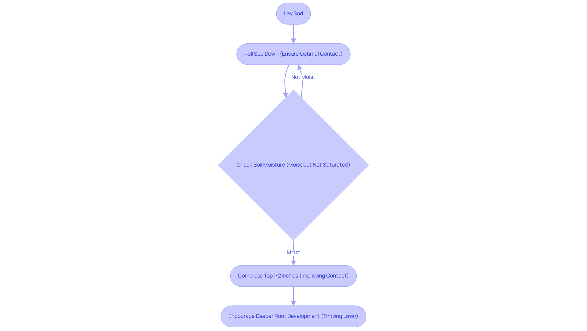 Each box represents a step in the lawn installation process. Follow the arrows to see the order of actions needed to achieve a lush, healthy lawn.