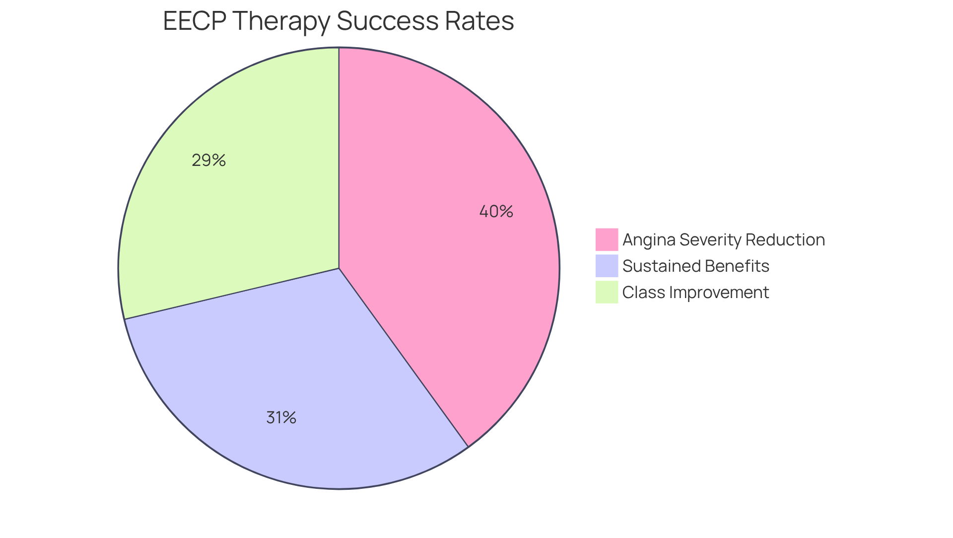 Each slice of the pie shows a different aspect of how successful EECP therapy has been for patients: the larger the slice, the more patients experienced that outcome.