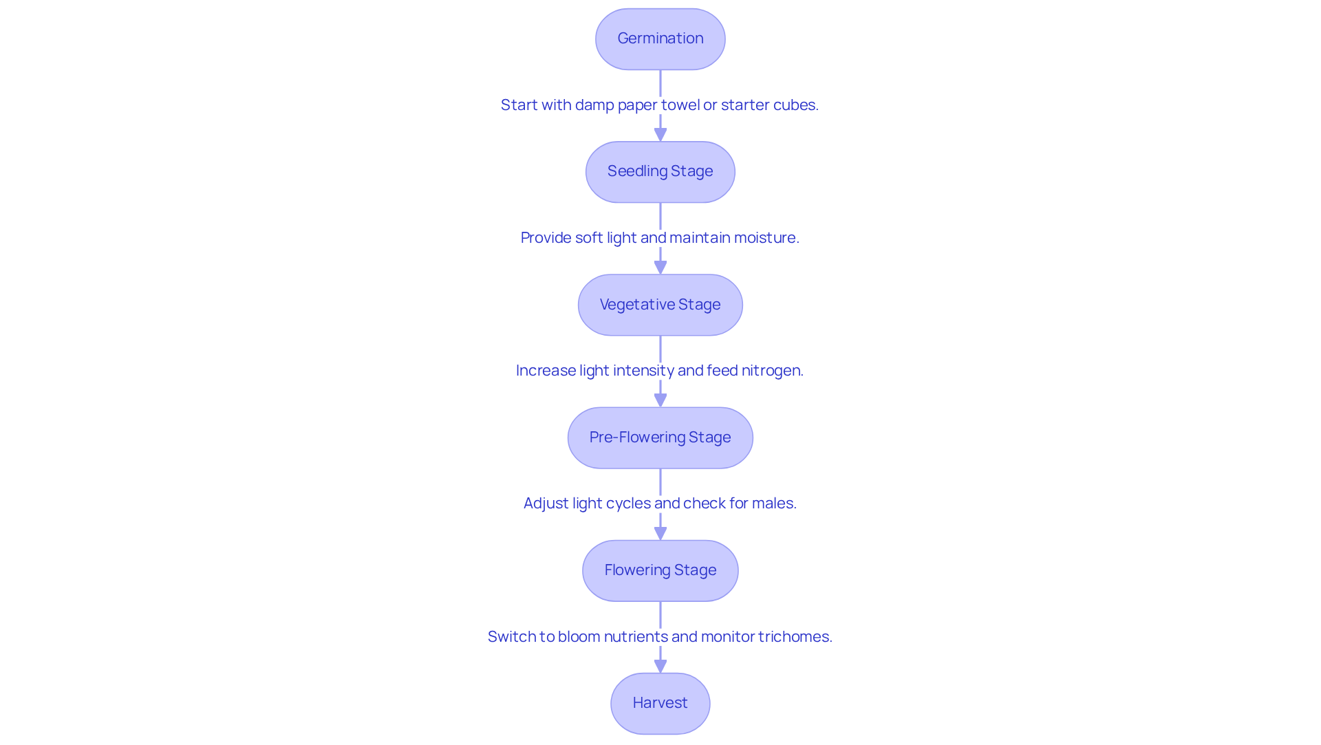 Each box represents a stage in the cannabis growth process. Follow the arrows to see how to care for your plants at each step, from germination to harvest. Each box represents a stage in the cannabis growth process. Follow the arrows to see how to care for your plants at each step, from germination to harvest.