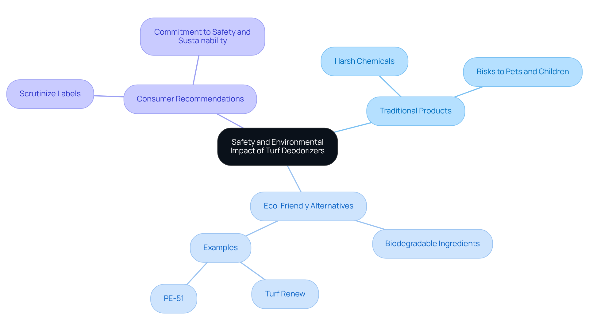 The center represents the main concern of safety and environmental impact. Each branch shows different aspects: traditional products highlight risks, eco-friendly alternatives showcase safer options, and consumer recommendations guide buyers in making informed choices. The center represents the main concern of safety and environmental impact. Each branch shows different aspects: traditional products highlight risks, eco-friendly alternatives showcase safer options, and consumer recommendations guide buyers in making informed choices.