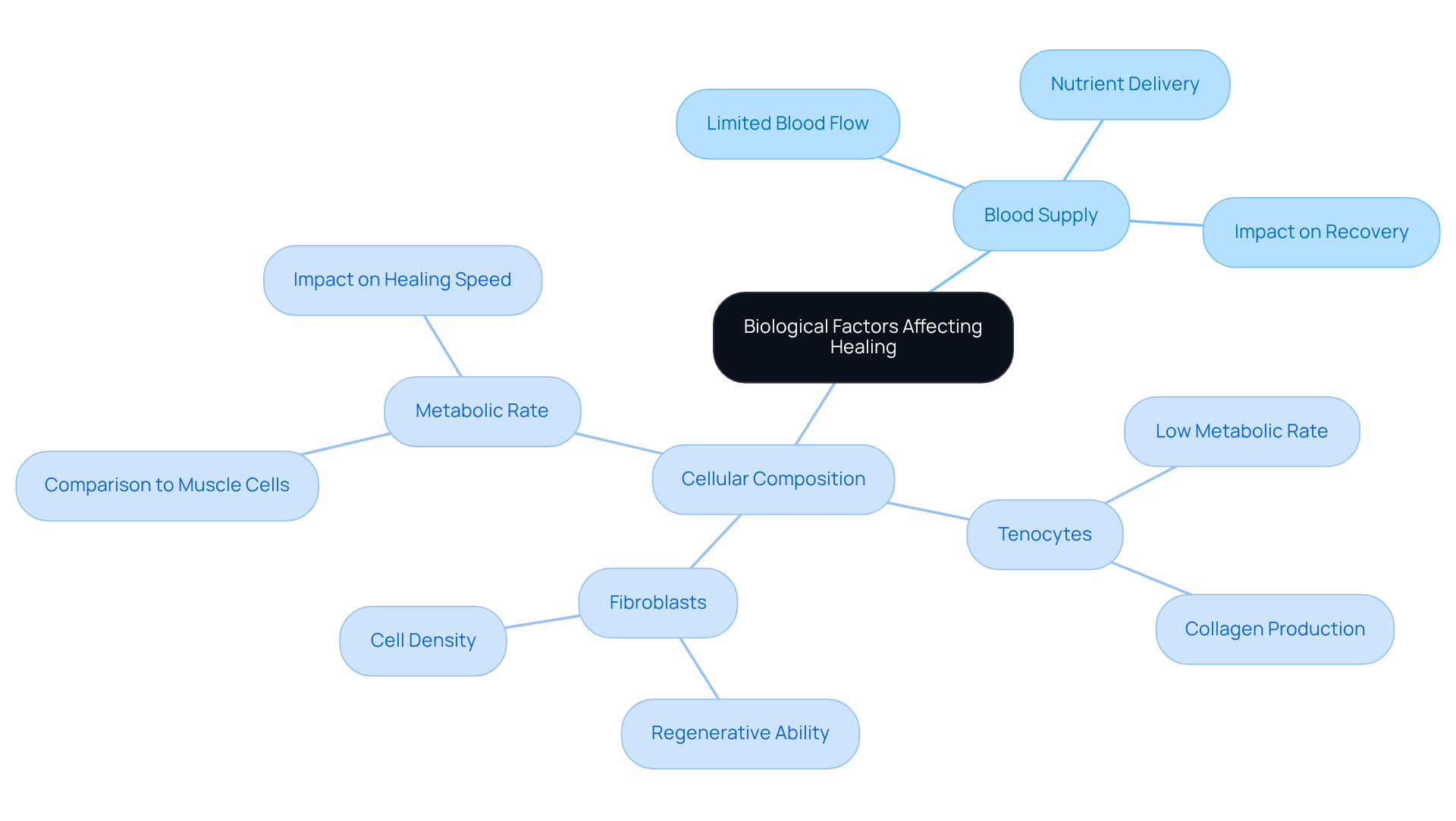 This mindmap illustrates how different biological factors impact the healing process. Start at the center with the main topic, then explore the branches to see how blood supply and cellular structure contribute to recovery challenges. Each branch represents a key factor, helping you understand the complexities of healing. This mindmap illustrates how different biological factors impact the healing process. Start at the center with the main topic, then explore the branches to see how blood supply and cellular structure contribute to recovery challenges. Each branch represents a key factor, helping you understand the complexities of healing.