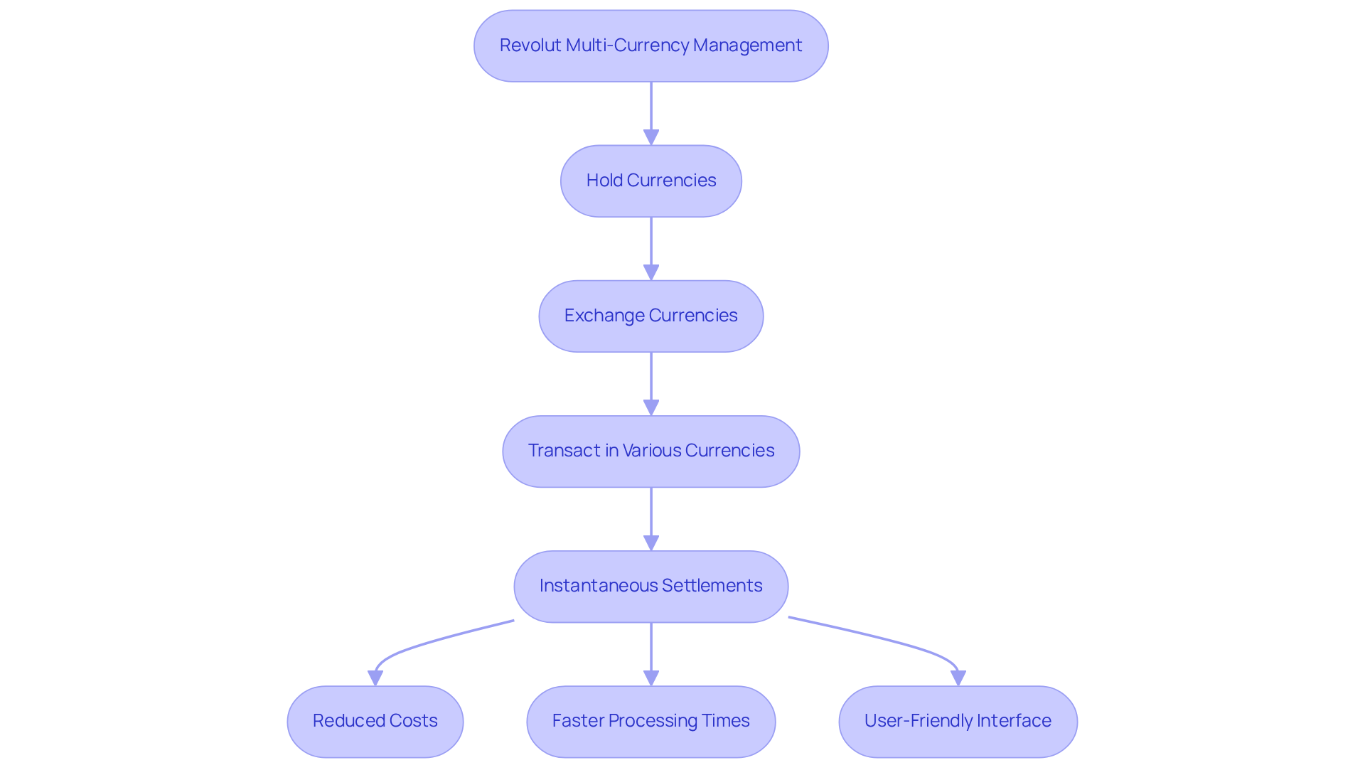 Follow the arrows to see how using Revolut helps businesses manage multiple currencies effectively, from holding and exchanging to transacting and enjoying the benefits.