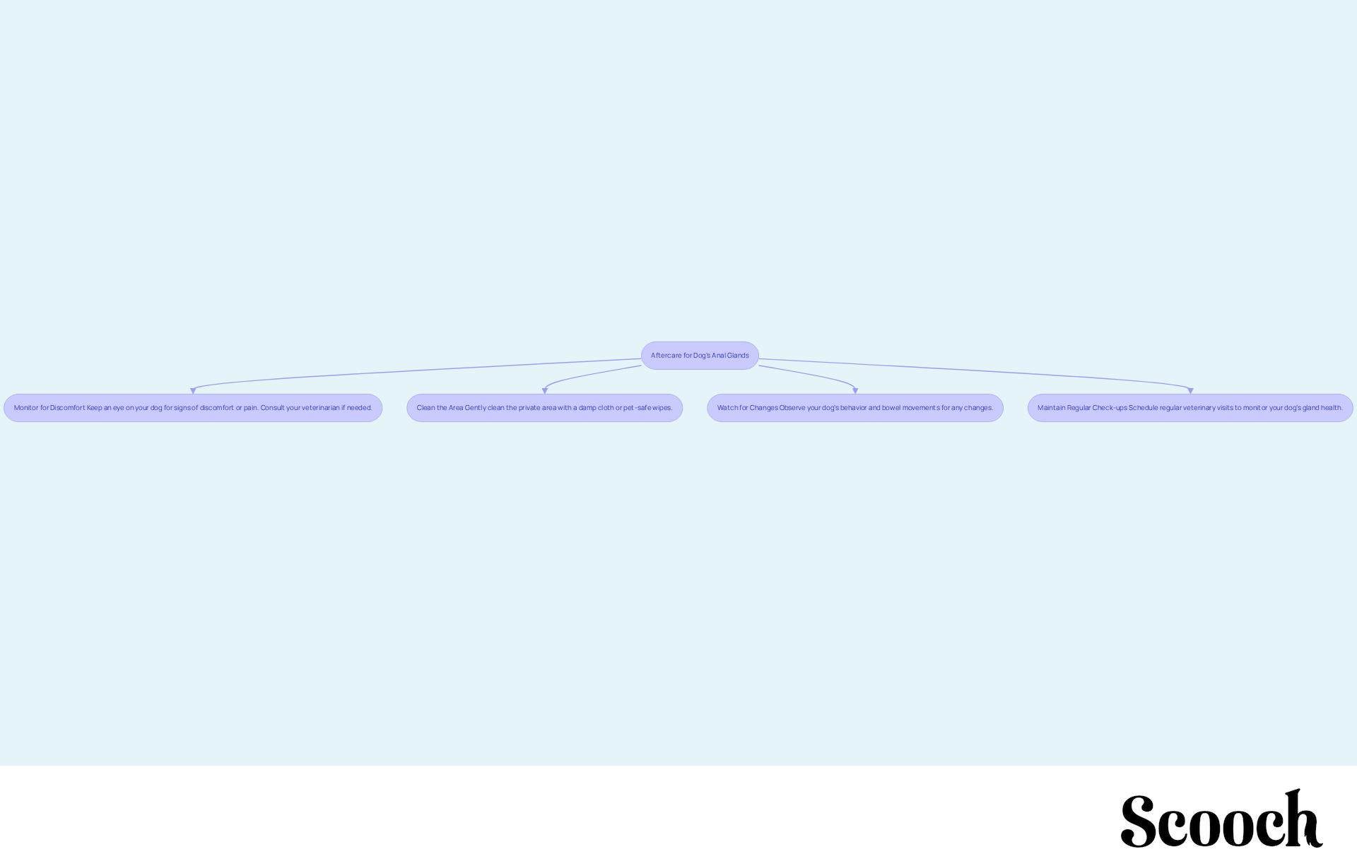 Follow the arrows to see the steps you should take after expressing your dog's anal glands. Each box represents an important action to keep your dog healthy and comfortable.
