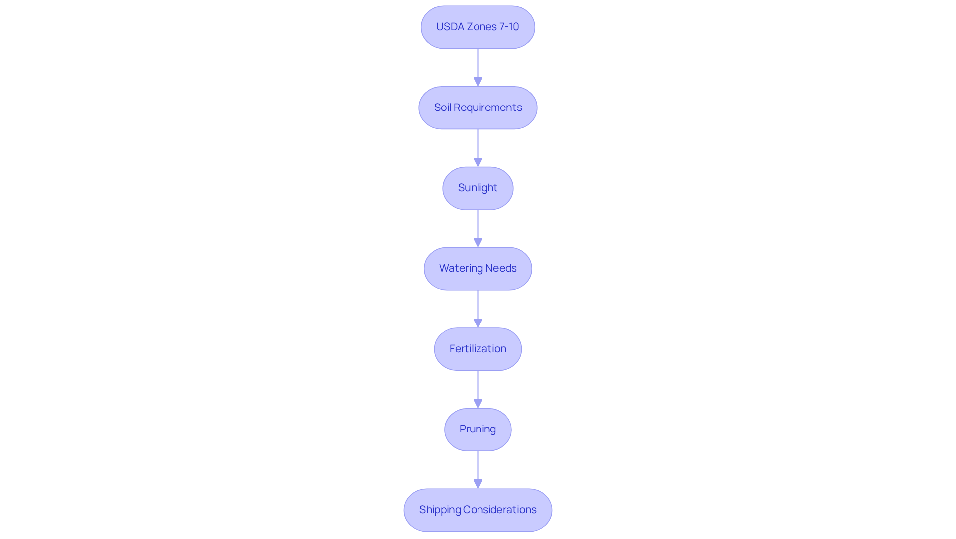 Each box represents a key aspect of caring for the fig tree. Follow the arrows to see how each requirement connects and builds upon the others for successful growth.