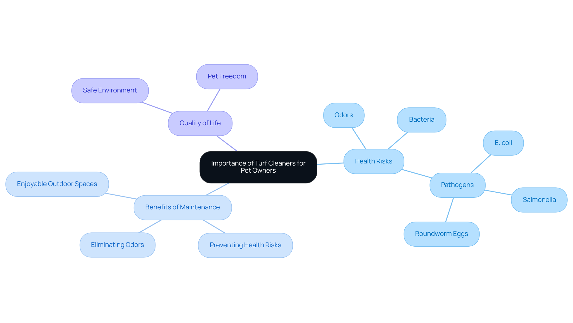 This mindmap illustrates how turf cleaners impact pet owners' lives. Start at the center with the main idea, then follow the branches to see the health risks of neglecting turf maintenance, the benefits of using cleaners, and how it all contributes to a better quality of life for pets and families.