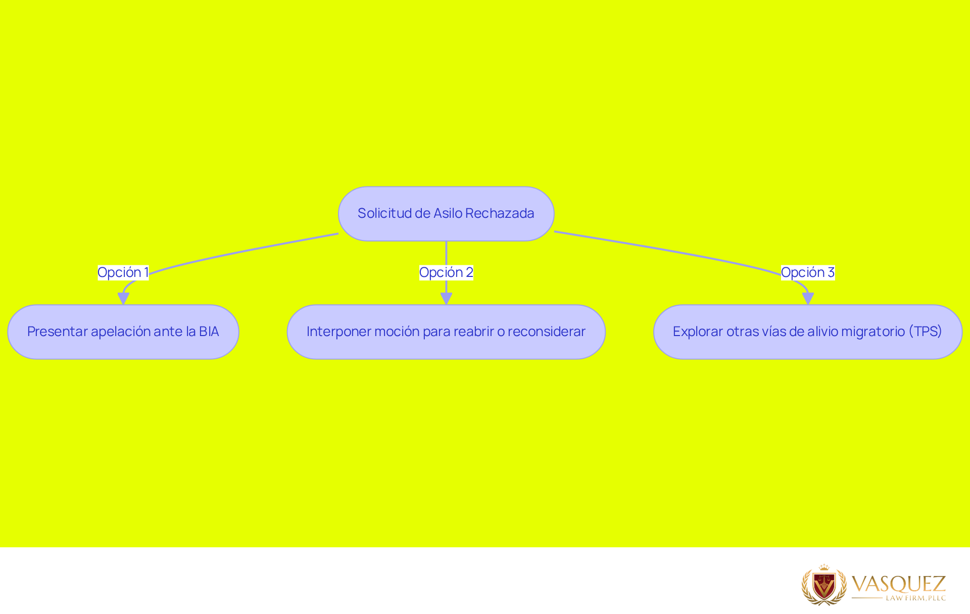 Este diagrama muestra qué hacer después de que se rechaza una solicitud de asilo. Cada cuadro representa una opción que puedes considerar, y las flechas indican cómo puedes proceder desde la decisión de rechazo.