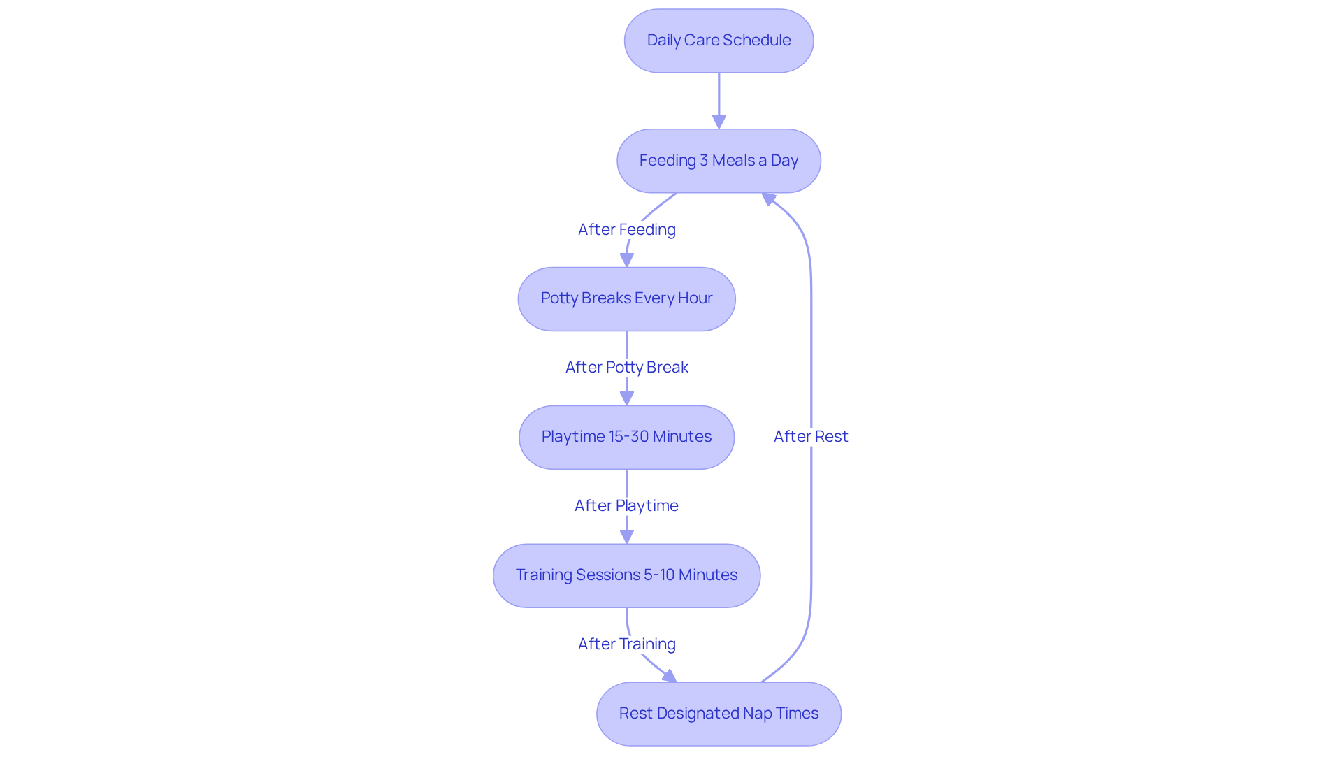 This flowchart outlines the daily schedule for caring for your Frenchie puppies. Each box represents an activity with its timing or frequency — follow the arrows to understand the order of tasks throughout the day.
