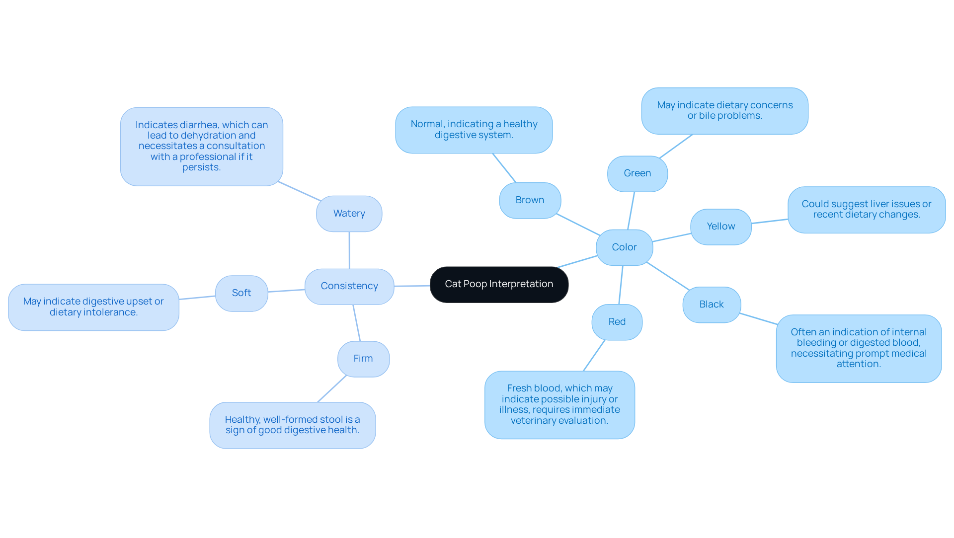 The central node represents the main topic, while the branches illustrate different aspects of cat poop and their meanings. Each color-coded branch helps quickly identify health concerns based on your cat's stool.