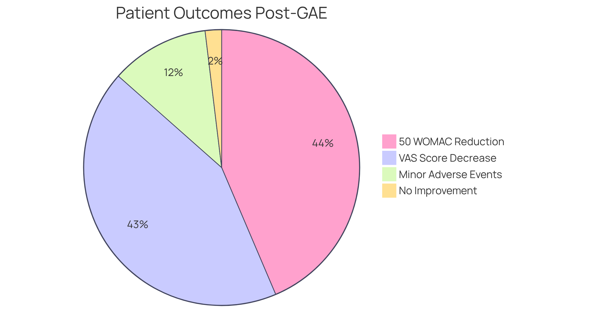 Each segment of the pie shows the percentage of patients who experienced specific outcomes after GAE. The larger the segment, the more patients reported that experience!