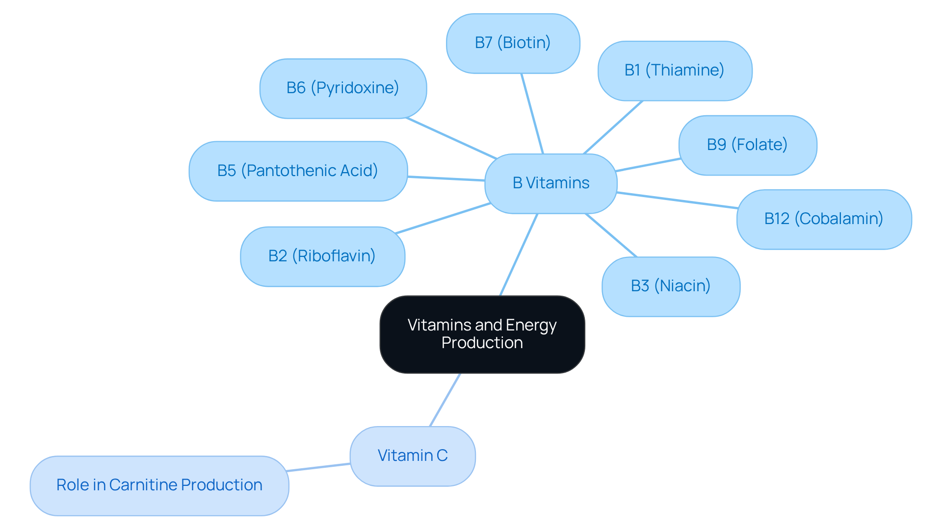 The central node represents the overall theme of vitamins and energy. The branches show specific vitamins and their contributions to energy production. Each color-coded branch helps you easily identify the different vitamins and their functions.
