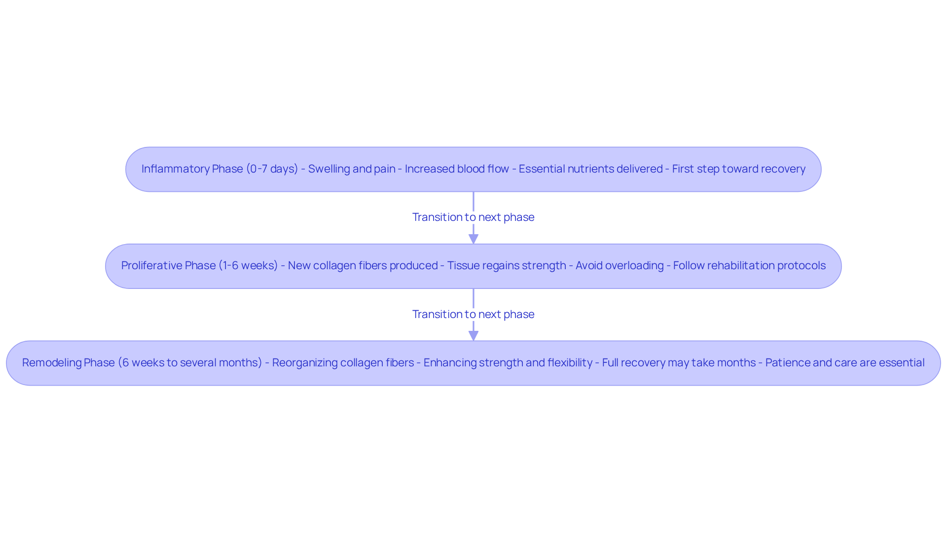 This flowchart shows the journey of tendon healing through three phases. Each box represents a phase with important details about what happens during that time. Follow the arrows to see how healing progresses from one phase to the next.