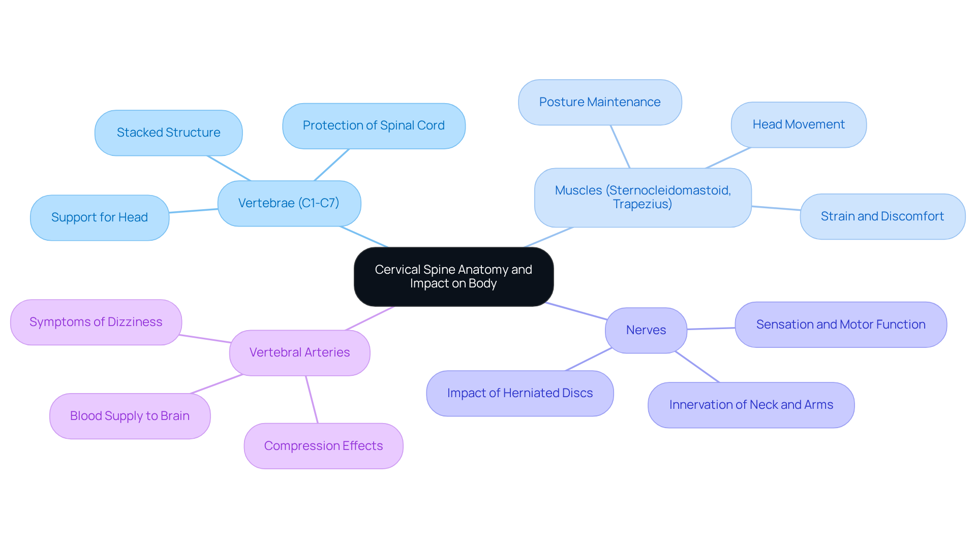This mindmap illustrates how different parts of the cervical spine work together and their roles in neck pain. Each branch represents a key component, and the sub-branches explain how they contribute to symptoms like dizziness and discomfort. Follow the branches to see how everything connects! This mindmap illustrates how different parts of the cervical spine work together and their roles in neck pain. Each branch represents a key component, and the sub-branches explain how they contribute to symptoms like dizziness and discomfort. Follow the branches to see how everything connects!