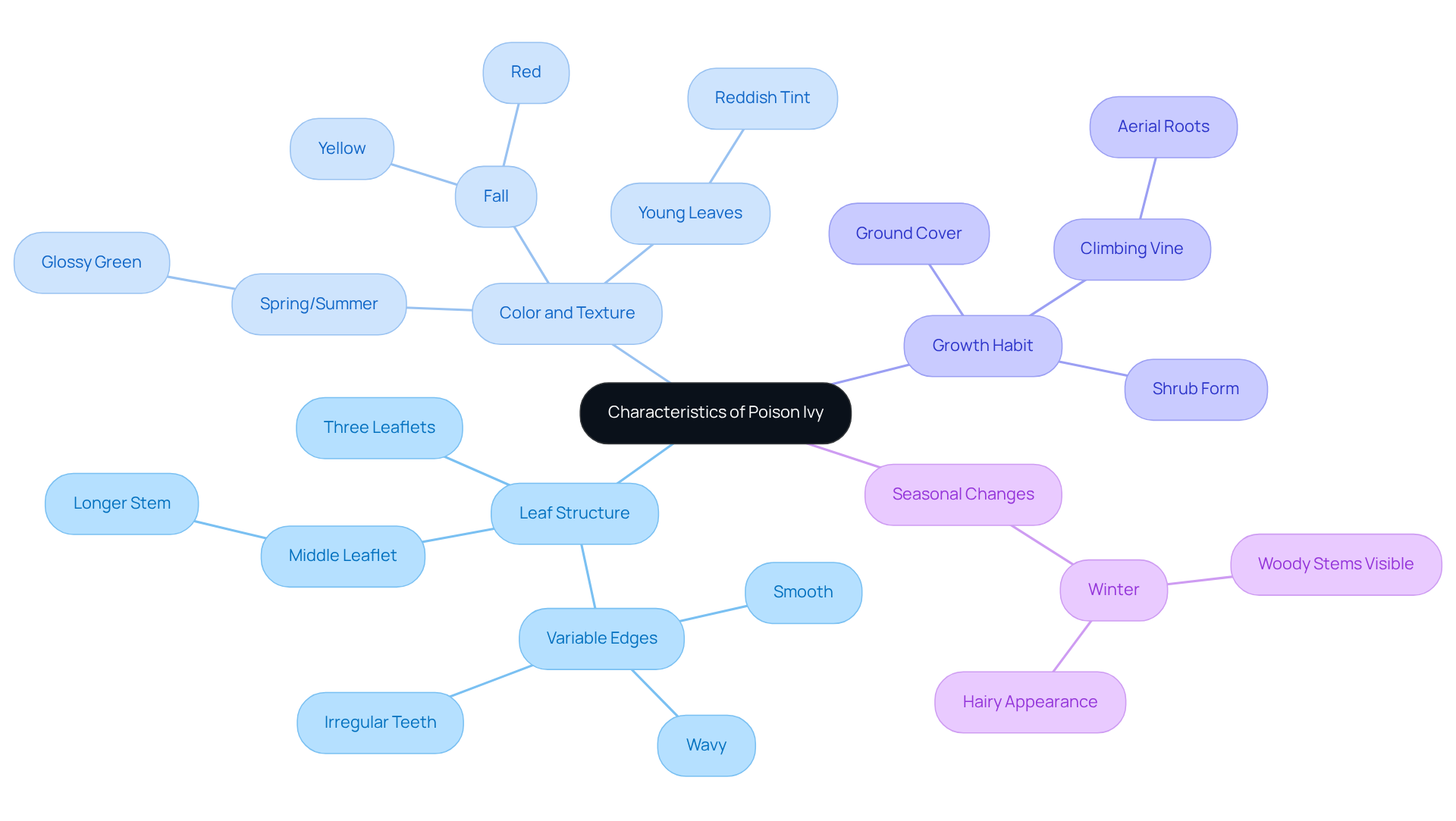The central node represents the main topic, while the branches show different characteristics of poison ivy. Each sub-branch provides more detail about that characteristic, helping you understand how to identify this tricky plant.