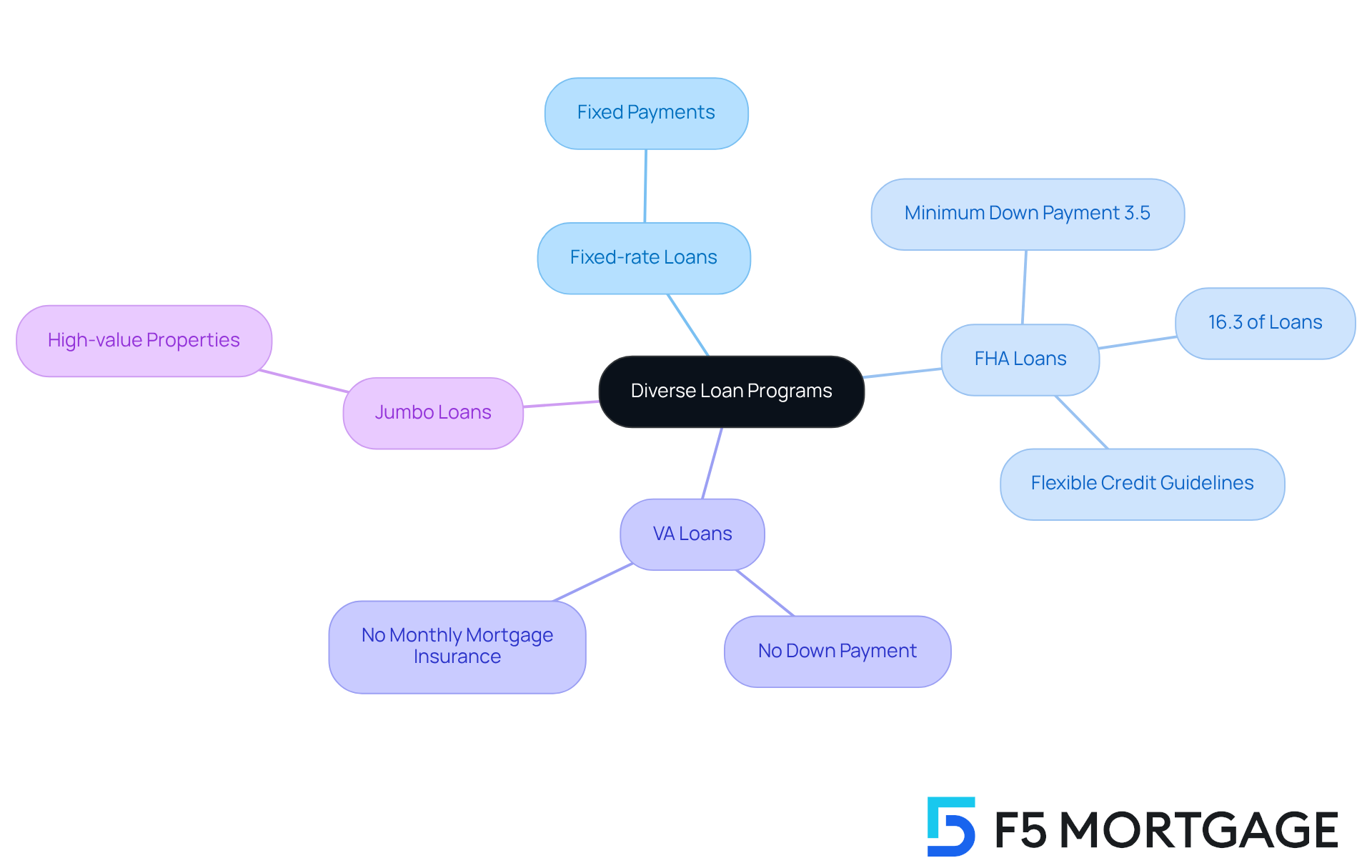 The center represents the diverse loan programs available, and each branch shows a specific loan type with its unique features. This layout helps you see all your options at a glance!