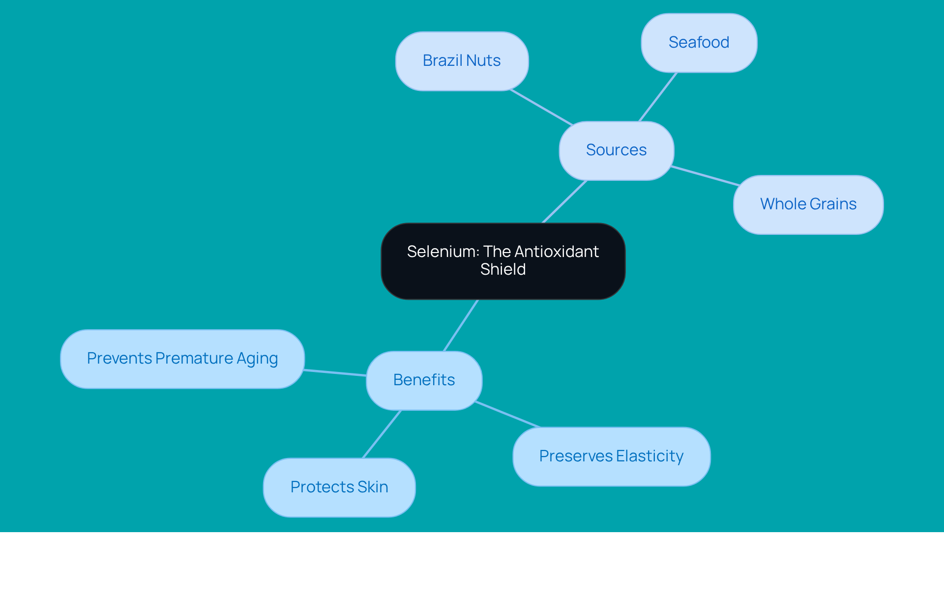In this mindmap, the center represents Selenium's role as an antioxidant. The branches show its benefits for skin health and list food sources rich in Selenium. Follow the branches to explore how they connect.