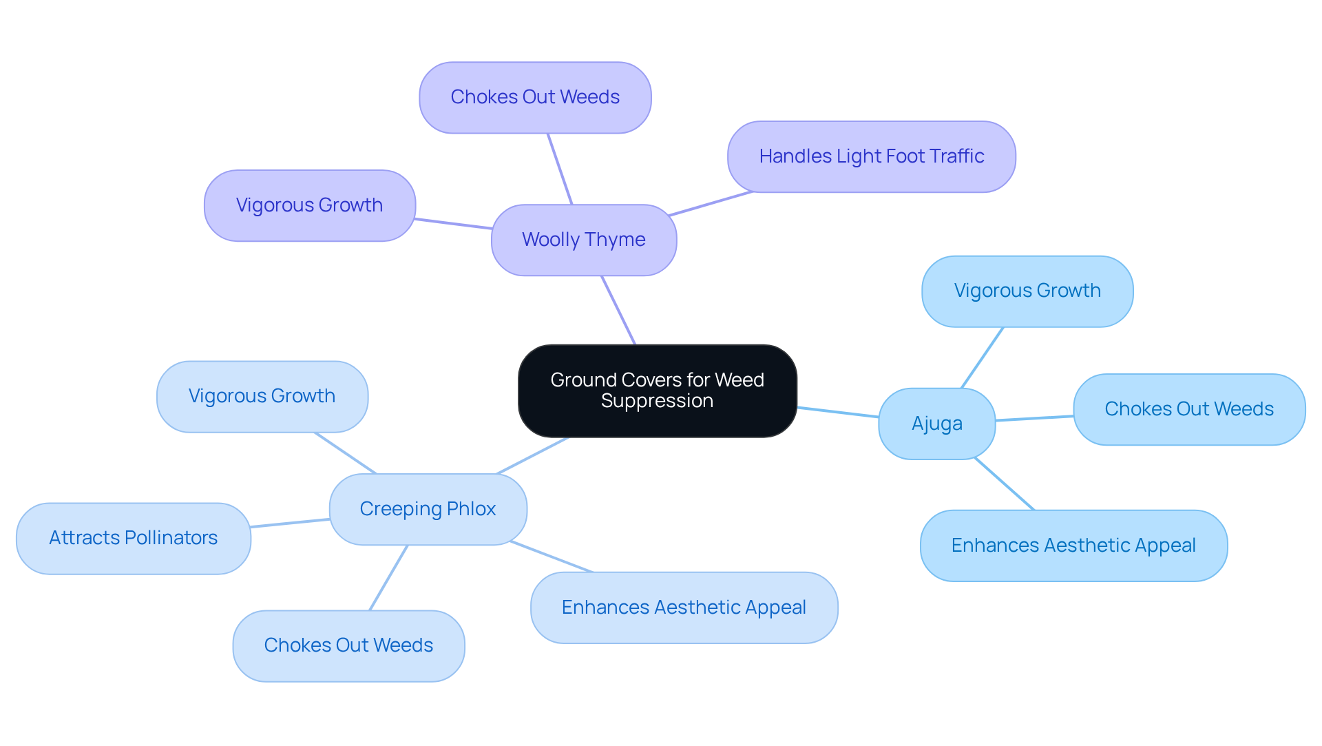 This mindmap starts with the main idea of using ground covers to suppress weeds. Each branch represents a different type of ground cover, and the sub-branches explain how they help with weed control and improve the garden's look. Follow the branches to see how each type contributes to a healthier garden. This mindmap starts with the main idea of using ground covers to suppress weeds. Each branch represents a different type of ground cover, and the sub-branches explain how they help with weed control and improve the garden's look. Follow the branches to see how each type contributes to a healthier garden.