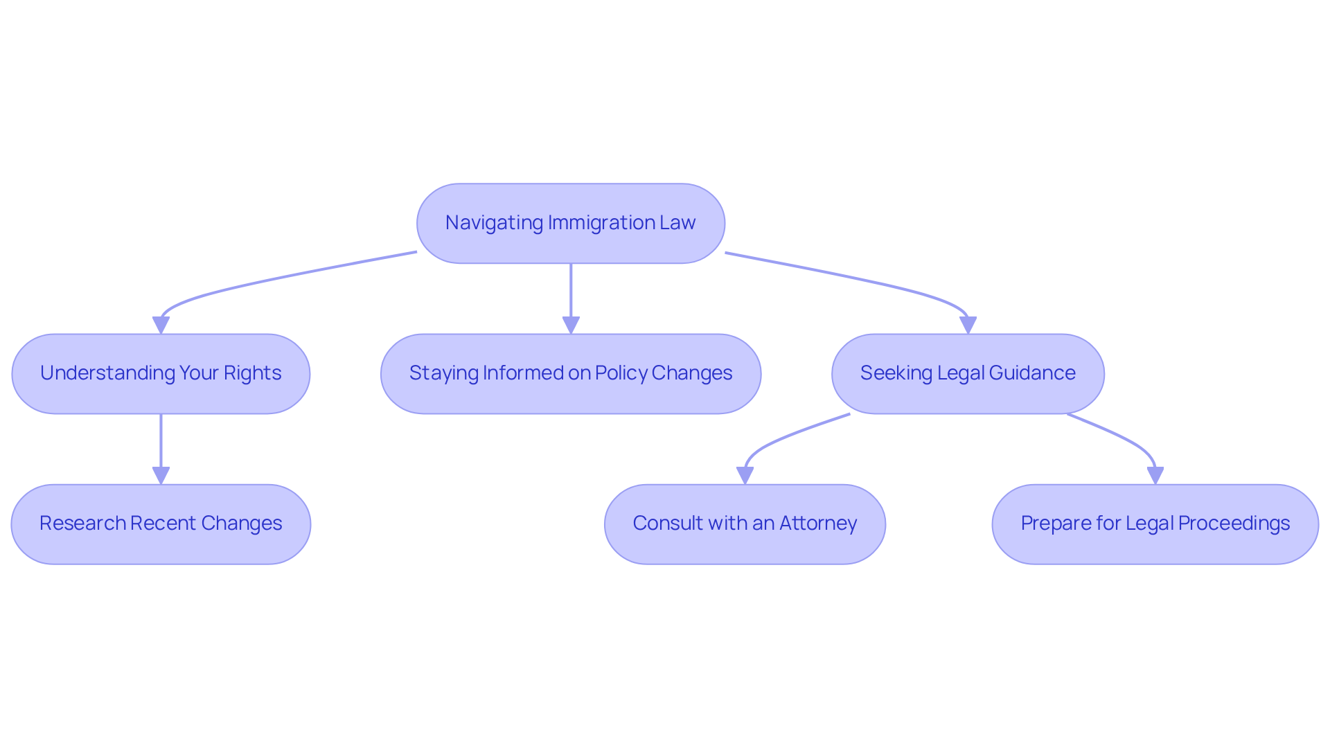 This flowchart shows the steps involved in navigating immigration law. Each box represents a key action or decision point, guiding you through the complexities of legal processes and emphasizing the importance of having expert support at each stage.