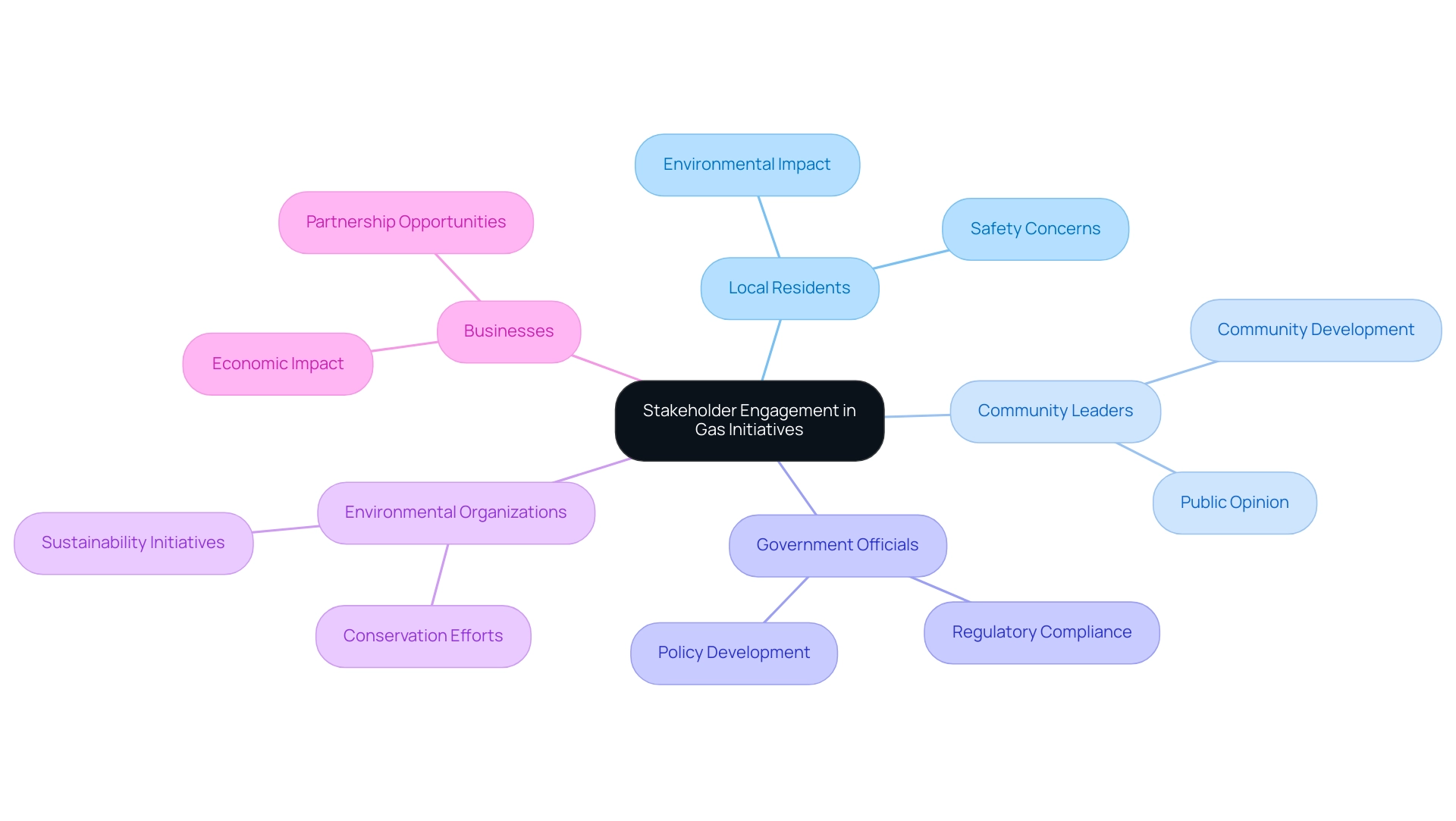 Each branch represents a group of stakeholders involved in gas initiatives, with sub-branches indicating their specific interests and concerns.