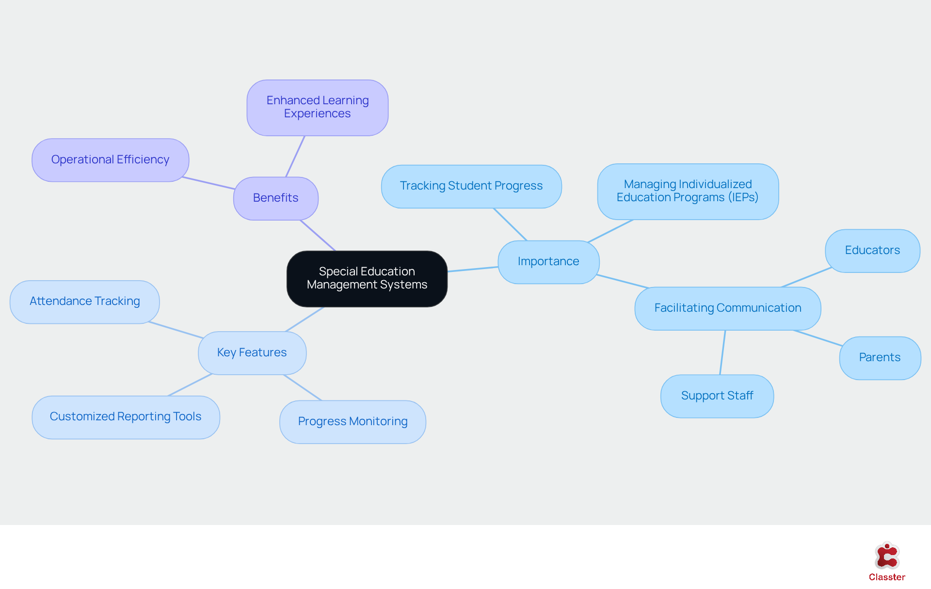 The center represents the main concept, while the branches show important features and benefits. Each branch helps you understand how these systems support special education.
