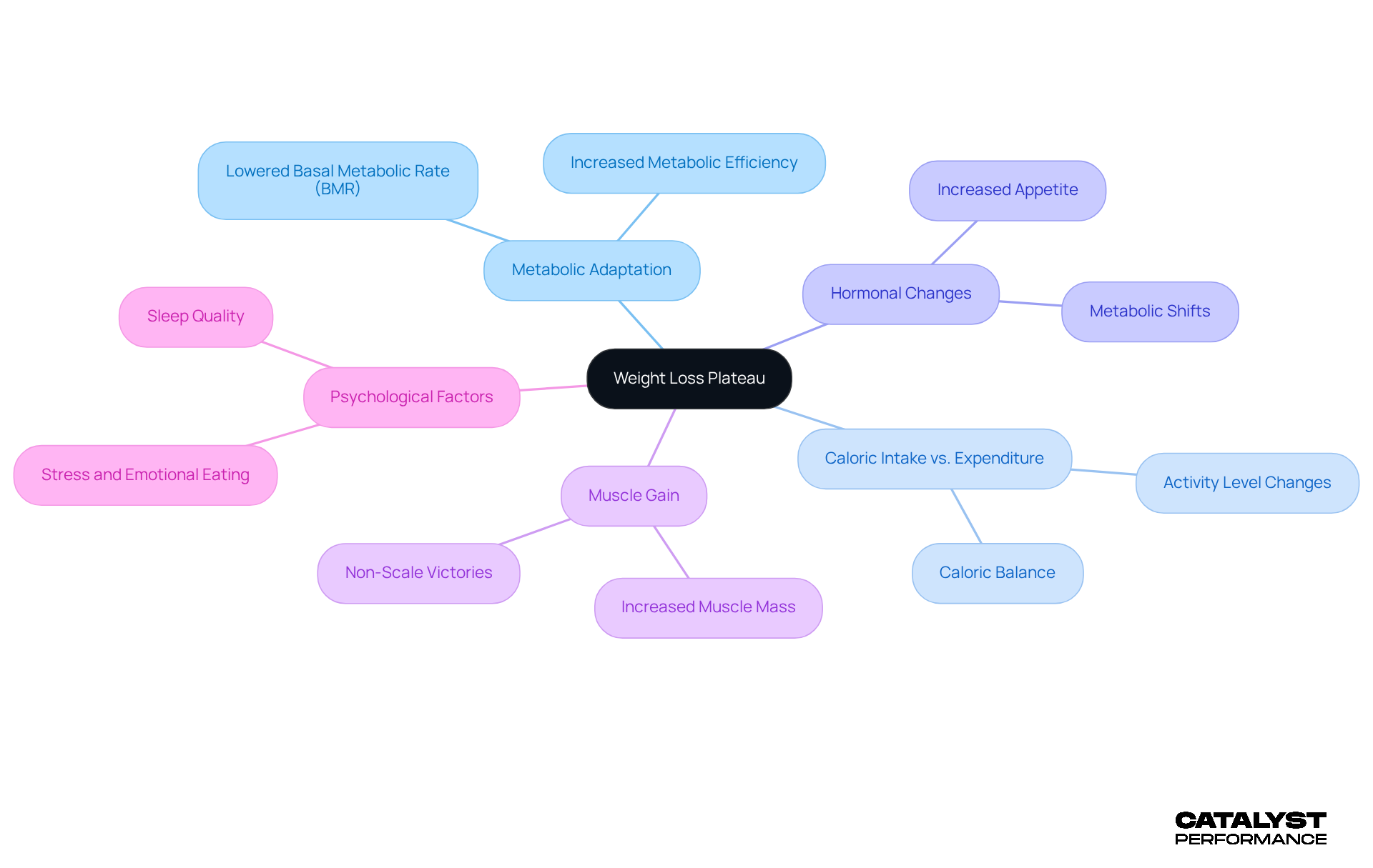 The central node represents the main topic of weight loss plateau, while the branches show the different factors that contribute to it. Each factor is explained in simple terms, helping you understand how they relate to your weight loss journey.