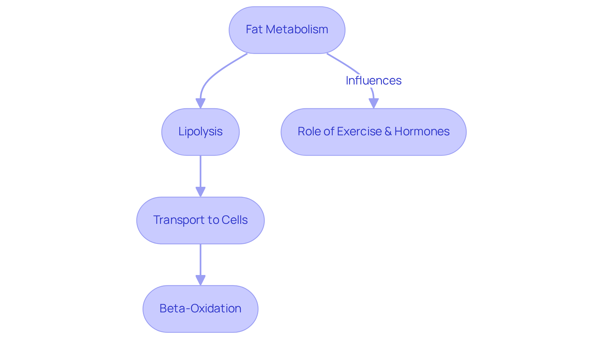 This flowchart outlines how the body processes fat for energy. Each step shows a part of the journey from dietary fats to energy production, highlighting the importance of exercise and hormones in this process.