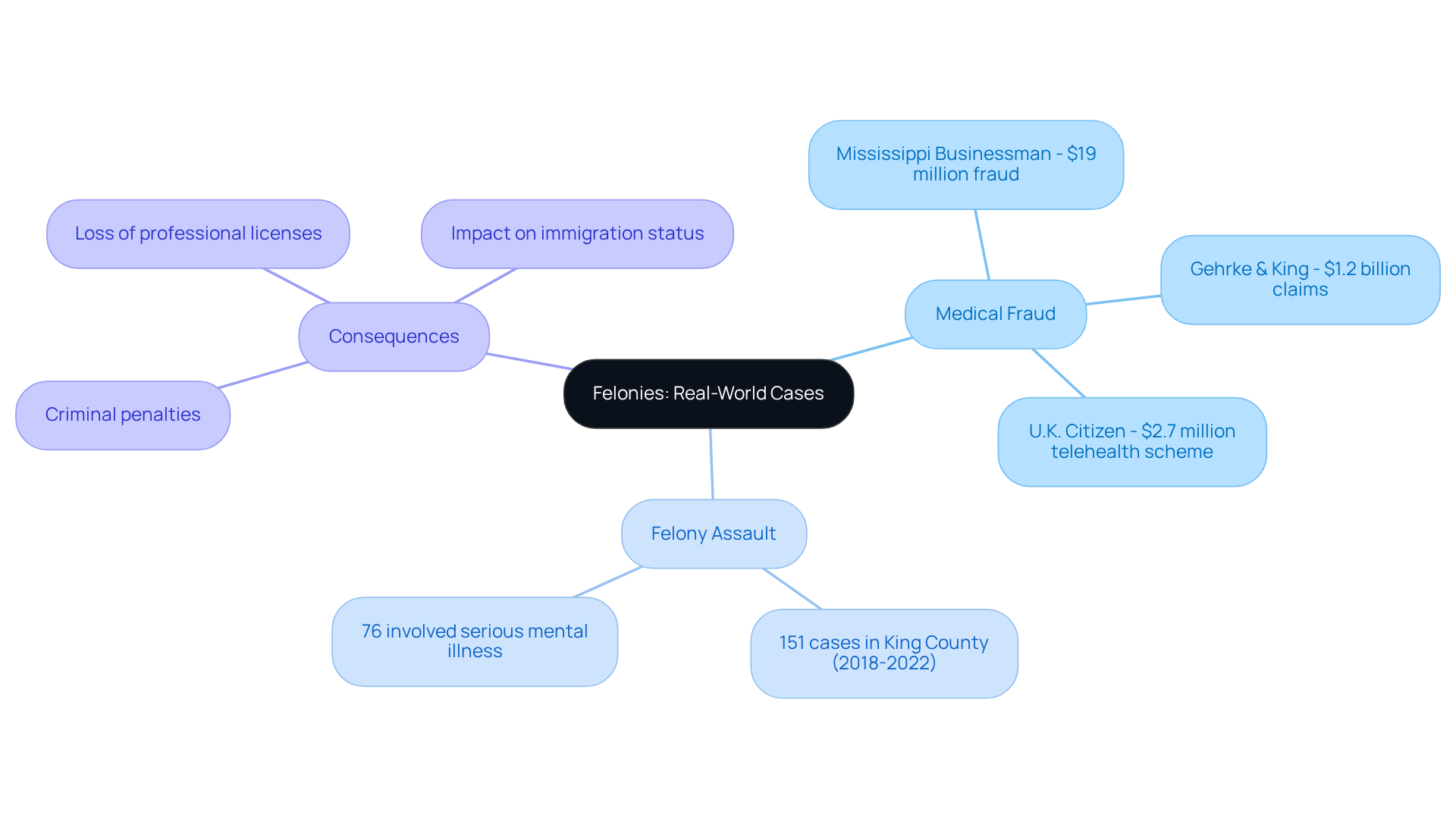 The central node represents the topic of felonies, while branches show different types of crimes and real-world cases. Each case highlights the serious consequences that can arise, helping readers understand the risks involved. The central node represents the topic of felonies, while branches show different types of crimes and real-world cases. Each case highlights the serious consequences that can arise, helping readers understand the risks involved.