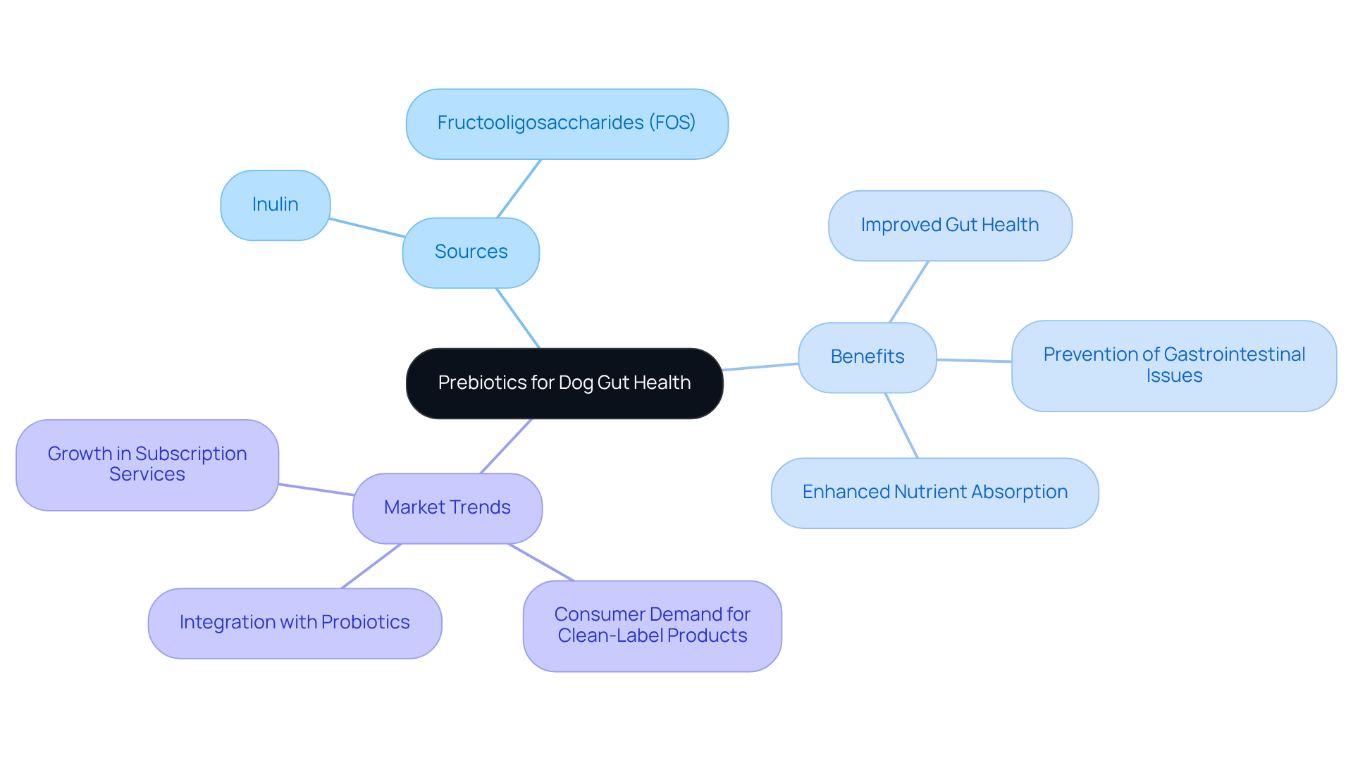 The center represents prebiotics, and the branches show important related topics. Each color-coded branch helps you see how sources, benefits, and market trends connect to the overall theme of gut health.