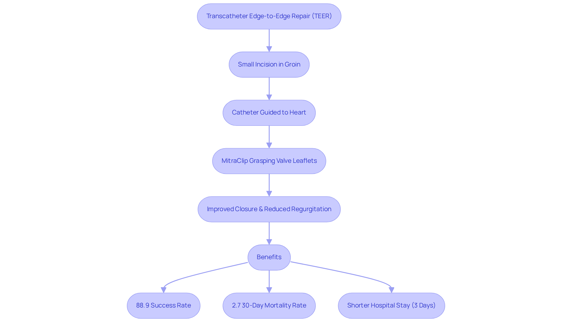 Follow the arrows to see how the TEER procedure works, from the initial incision to the benefits it provides. Each step shows how the procedure is performed and the positive outcomes for patients.