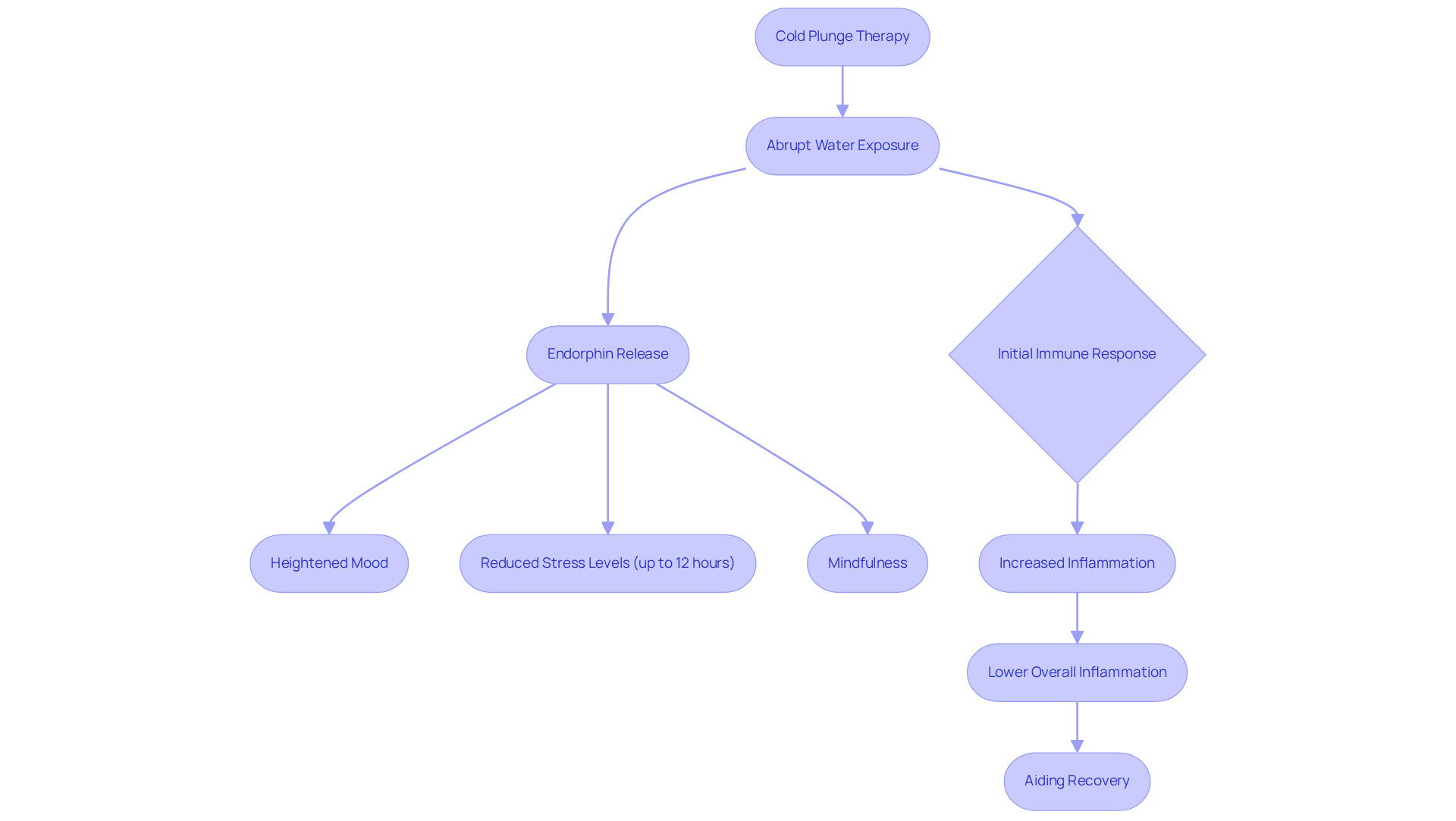 Follow the flow from cold plunge therapy to see how each reaction unfolds and contributes to stress relief and overall wellness.