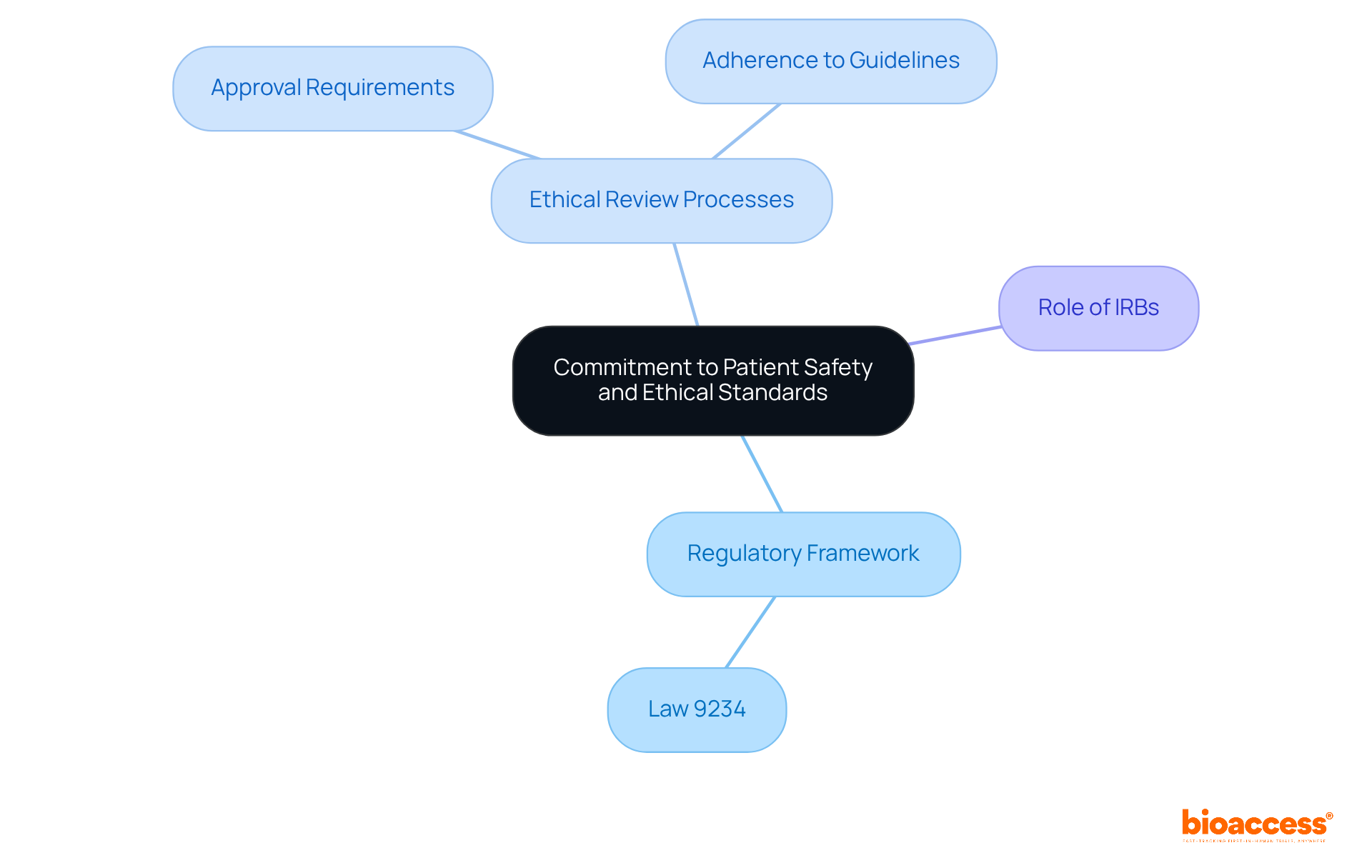 The center represents our commitment to safety and ethics in research. Each branch shows different aspects of this commitment, like laws and review processes, helping you see how they all connect to protect patients and improve research.