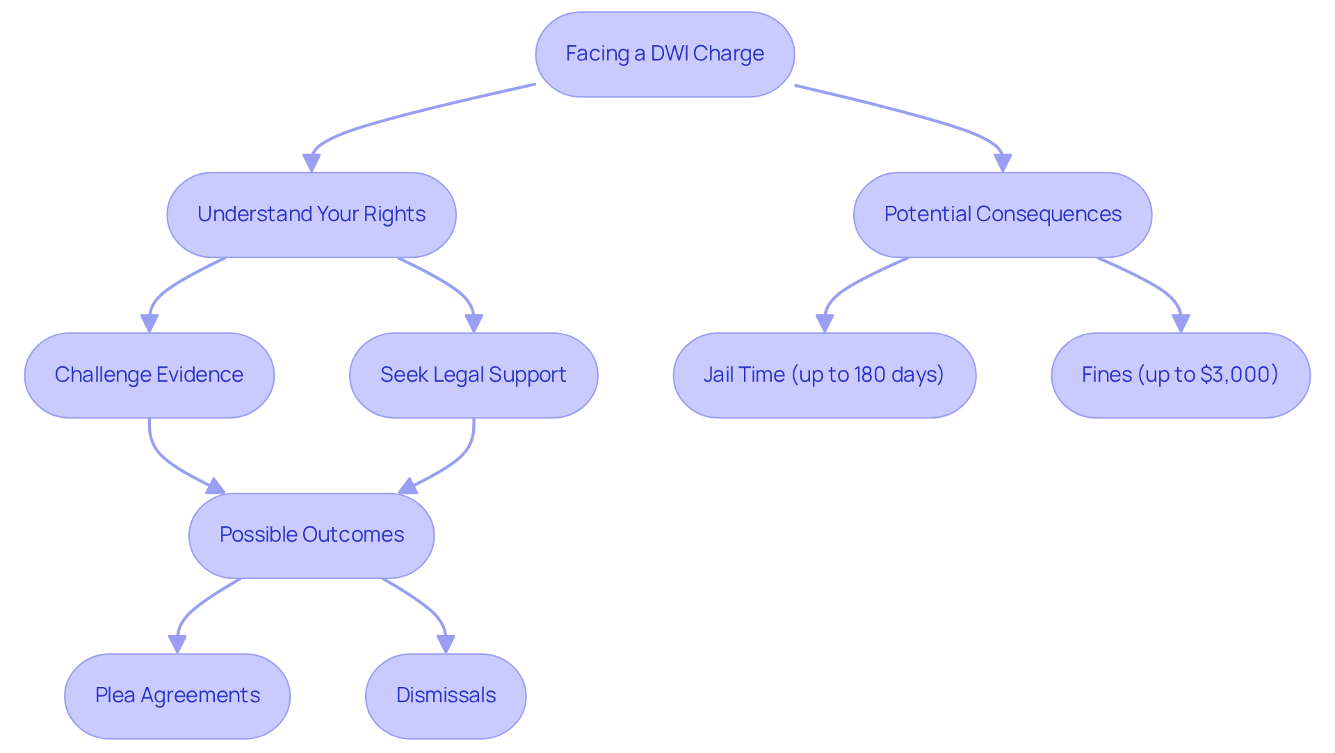 This flowchart outlines the journey of a first-time DWI offender. Start at the top with the charge, then follow the arrows to understand your rights and the potential consequences. Each step shows what you can do next, leading to possible outcomes like plea agreements or dismissals.