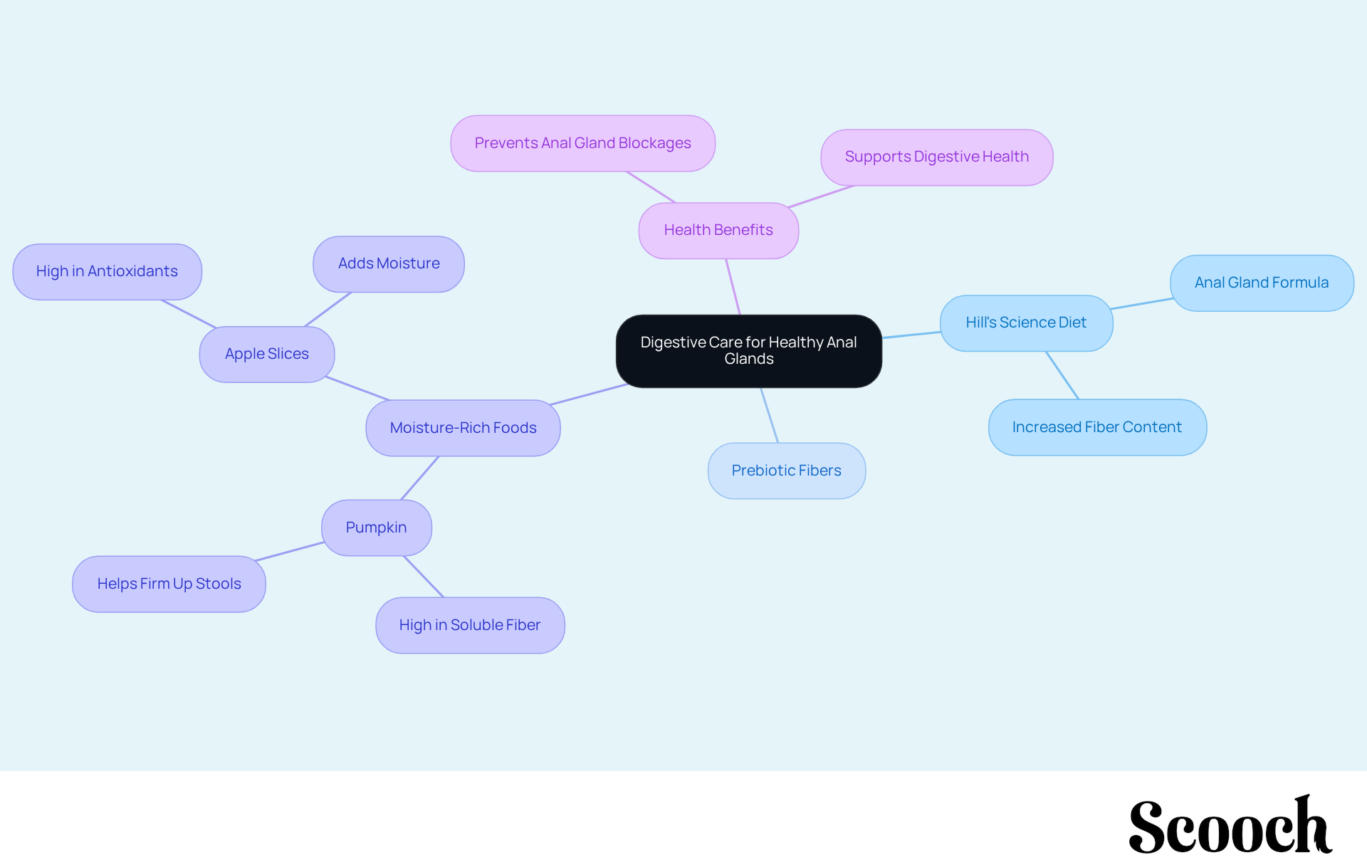 The central node represents the main topic, while the branches show different aspects of the diet and its benefits. Each color-coded branch helps you easily identify related information. The central node represents the main topic, while the branches show different aspects of the diet and its benefits. Each color-coded branch helps you easily identify related information.