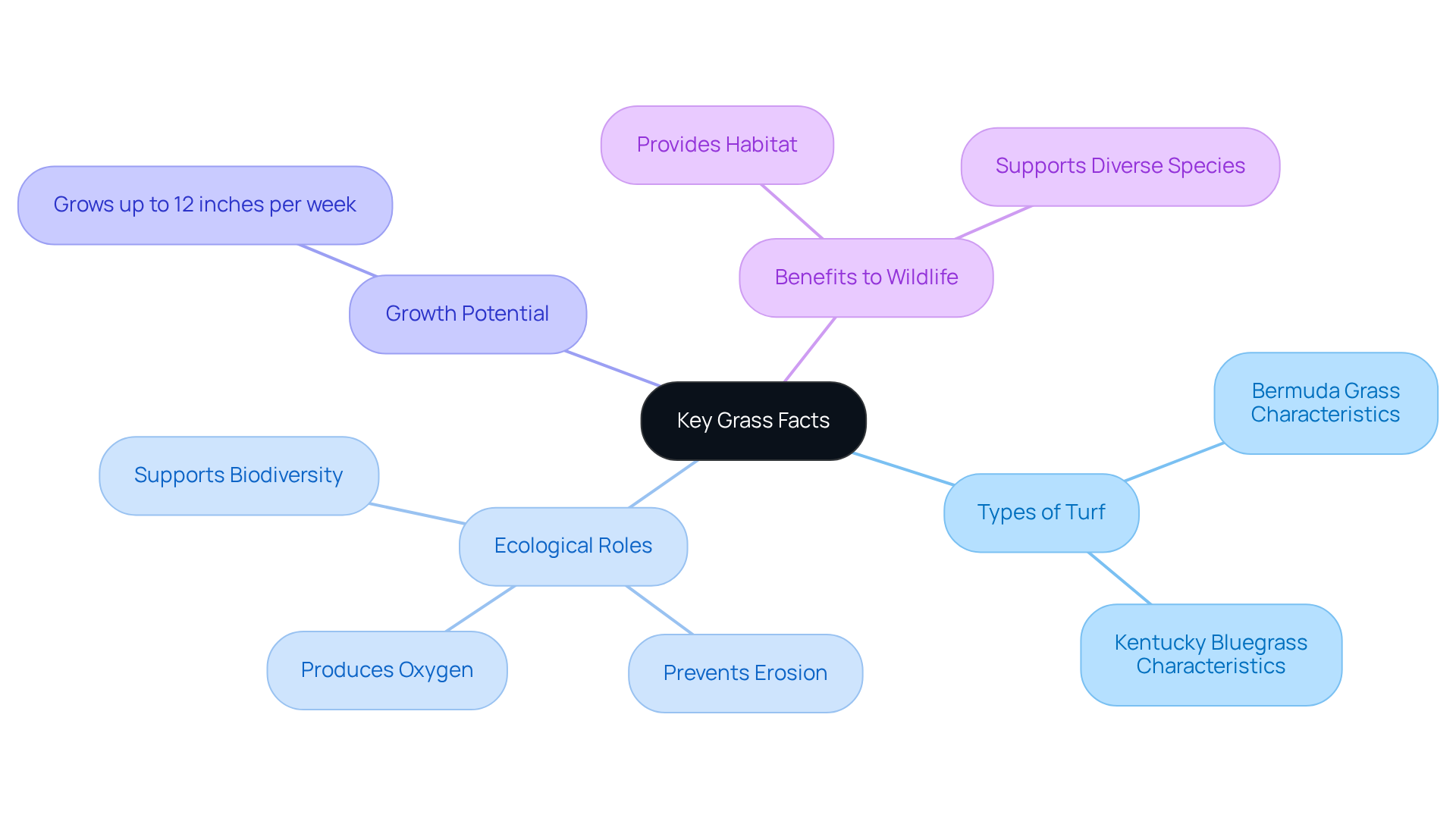 Start at the center with the main topic of grass facts, then follow the branches to explore different aspects like types, roles in the ecosystem, and benefits. Each color represents a different category, making it easy to navigate through the information. Start at the center with the main topic of grass facts, then follow the branches to explore different aspects like types, roles in the ecosystem, and benefits. Each color represents a different category, making it easy to navigate through the information.