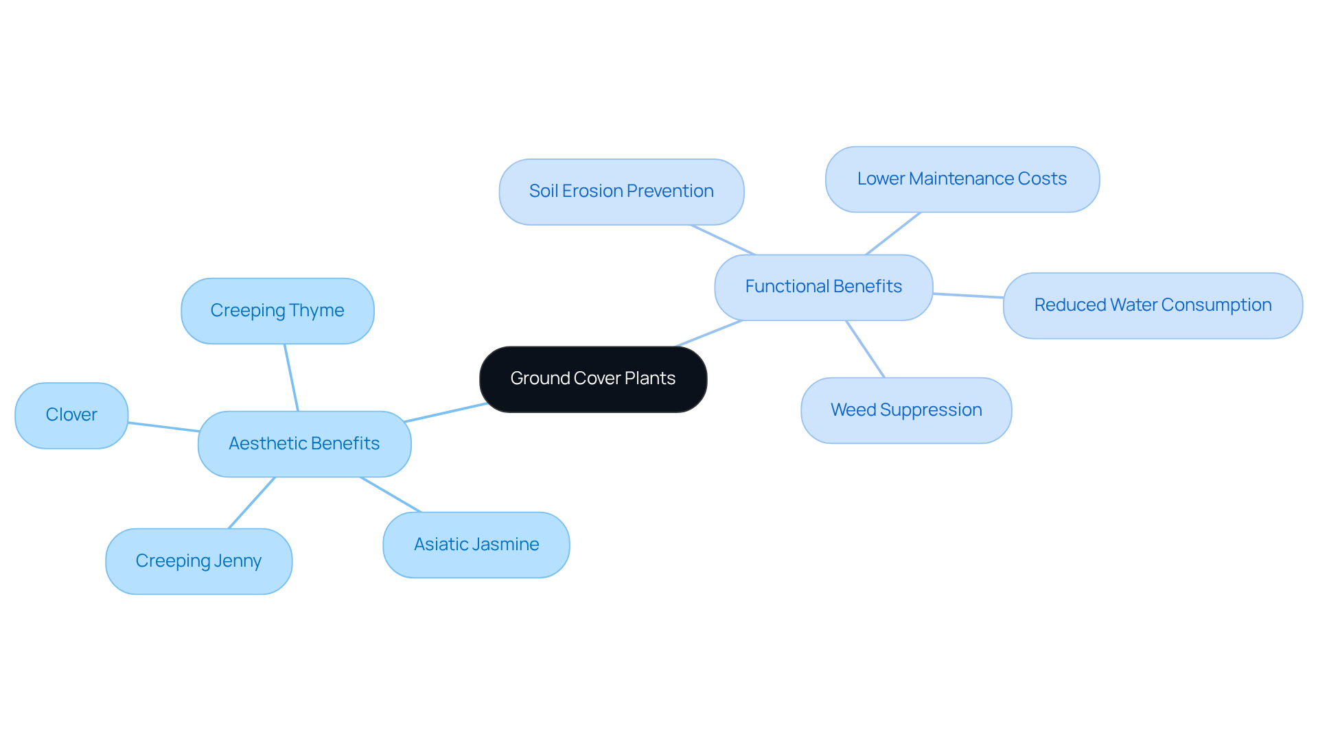 The central node represents the main topic of ground cover plants. The branches show how each plant contributes to both beauty and practical benefits in landscaping. Follow the branches to explore the various types and their roles.