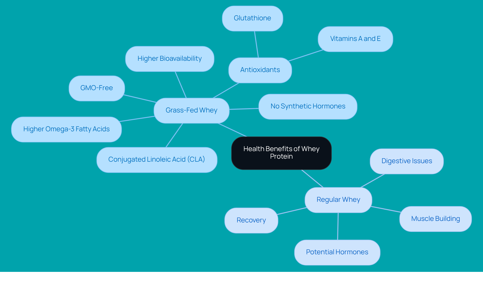 This mindmap provides a visual guide to the health benefits of both grass-fed and regular whey protein. Each branch highlights key benefits, making it easier to compare and understand how each type can support your health goals.