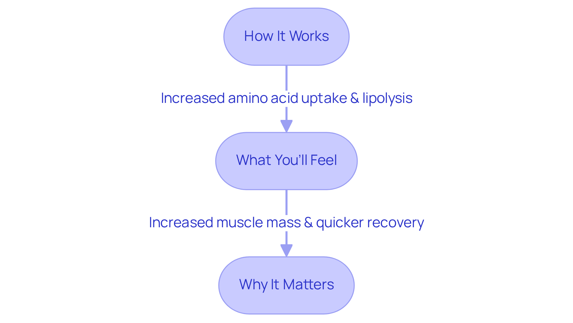 Follow the arrows to see how growth hormone works, what effects you can expect, and why it's important for your weight gain strategy.